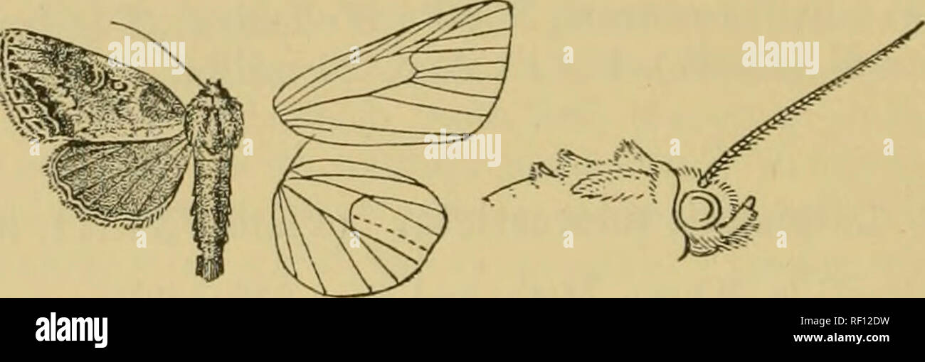 M 4673 Banque de photographies et d’images à haute résolution - Alamy