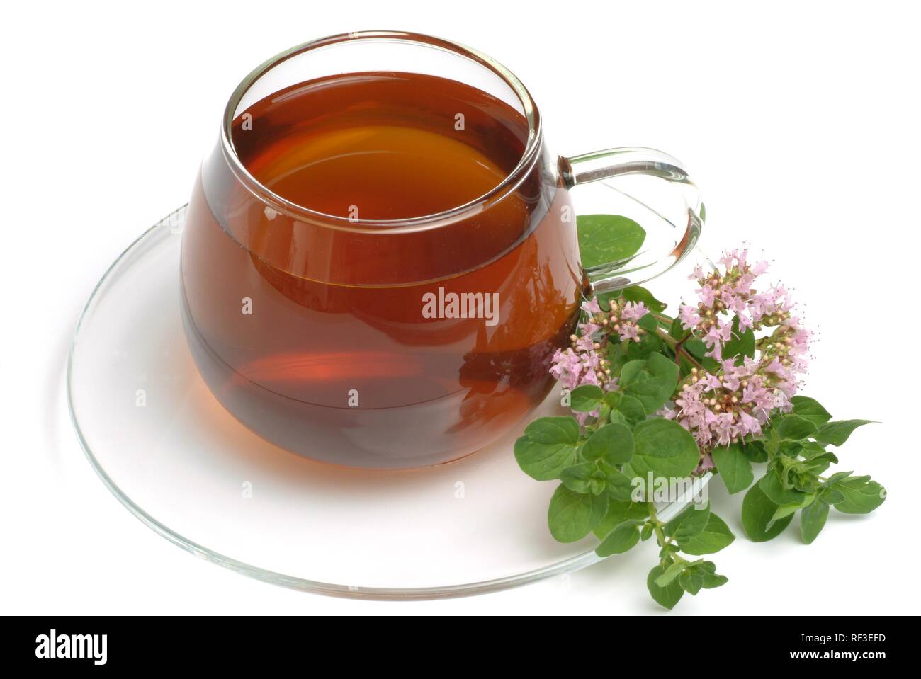 Marjoram origanum vulgare Banque de photographies et d’images à haute ...