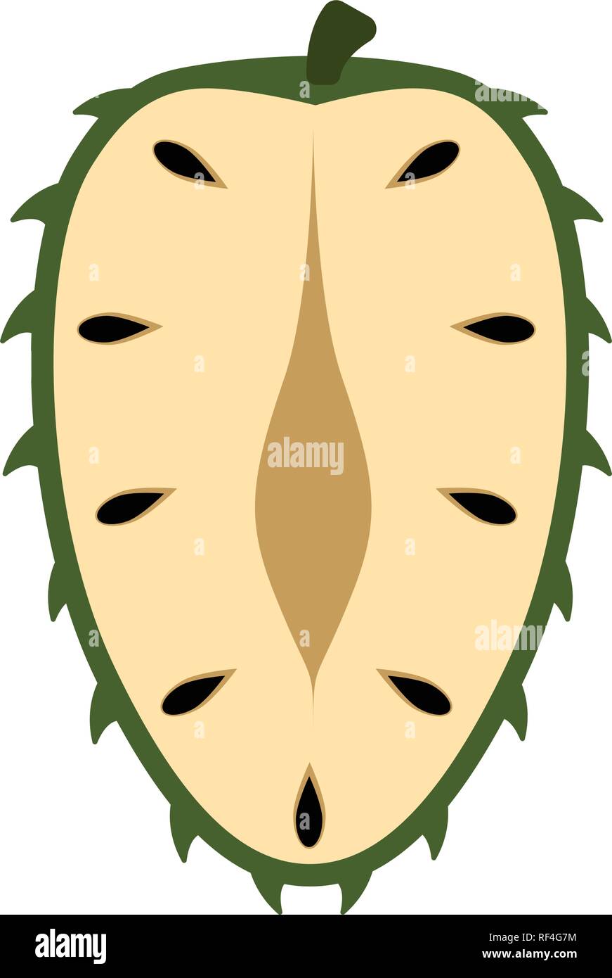 Fruit de corossol Banque d'images vectorielles - Alamy