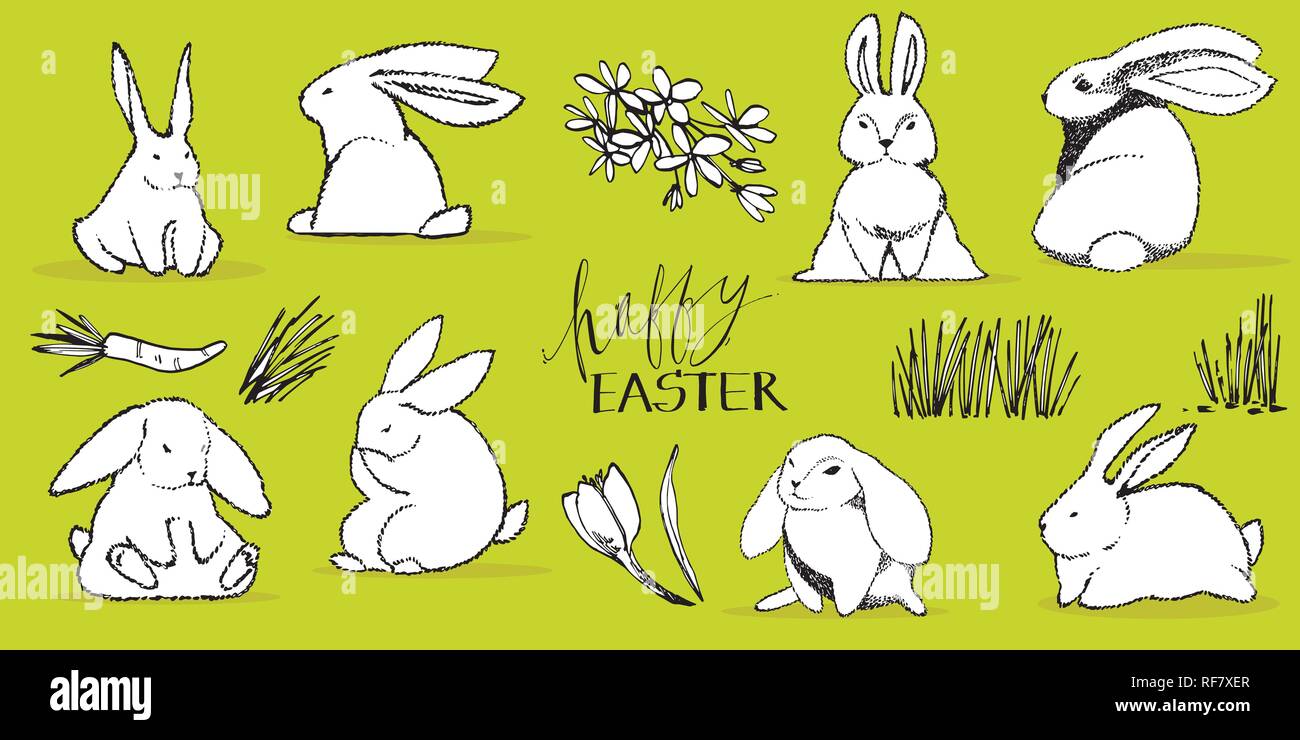 La collecte de certains lapins mignon, part attirer l'illustration ...