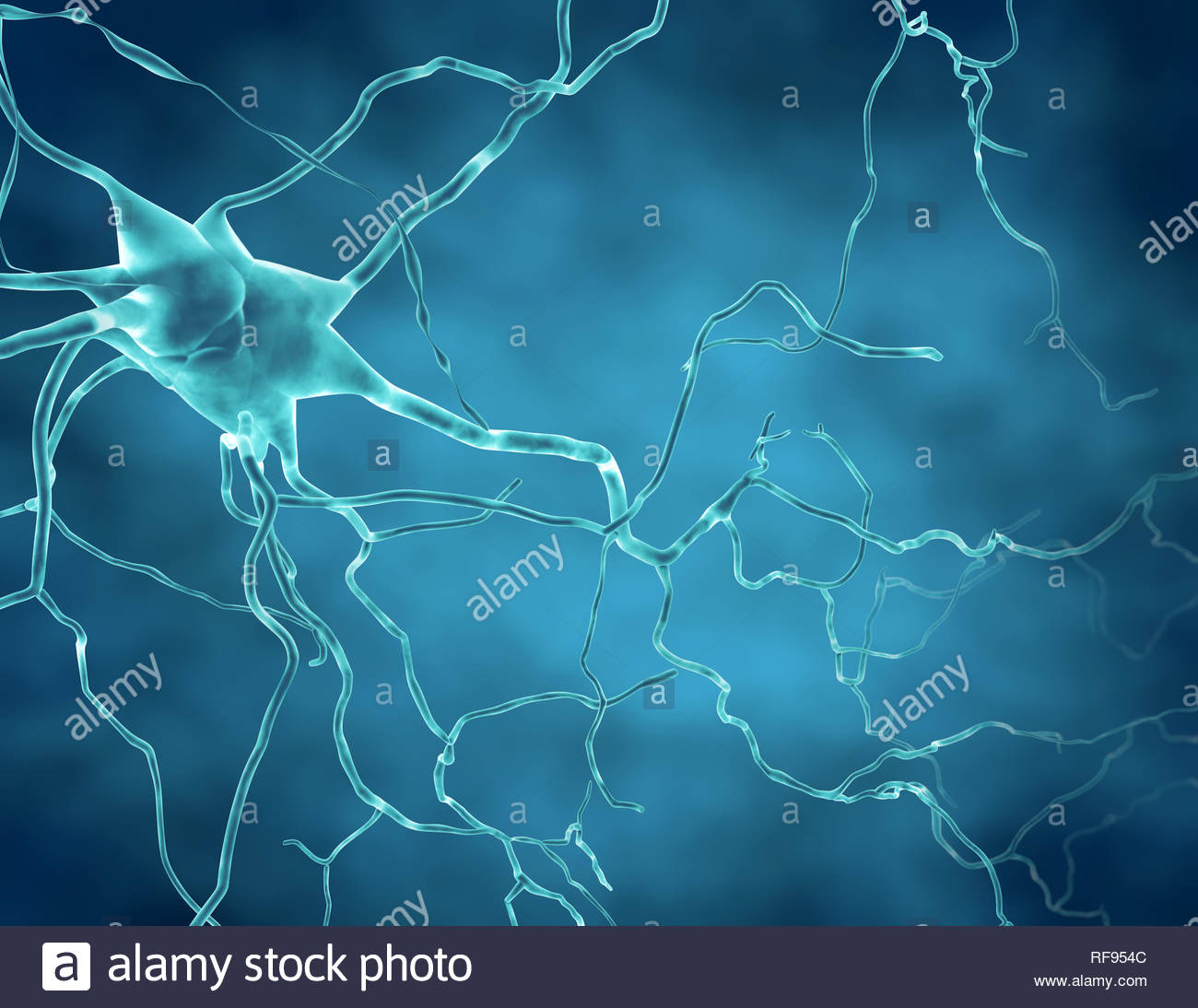 Tissu Nerveux Banque d'image et photos - Alamy