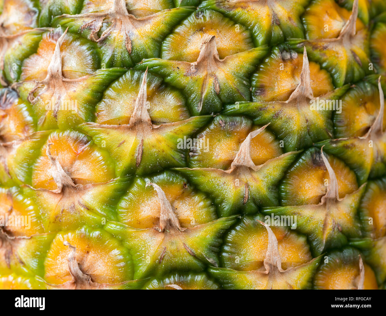 Pineapple skin Banque de photographies et d’images à haute résolution ...