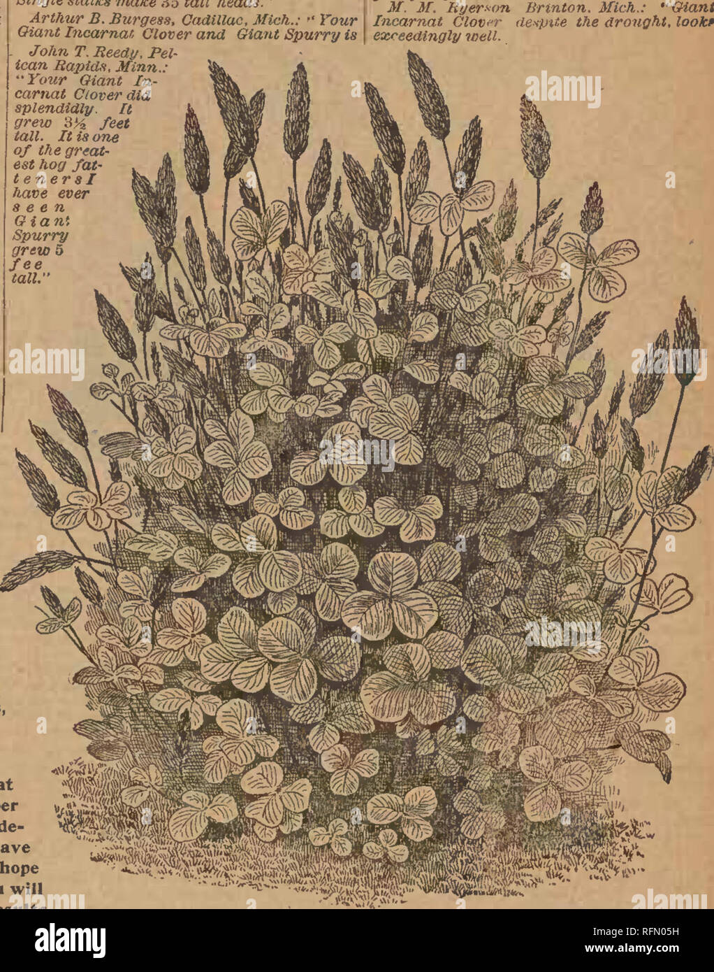 . Printemps 1897. Catalogues du Wisconsin de pépinière ; catalogues ...