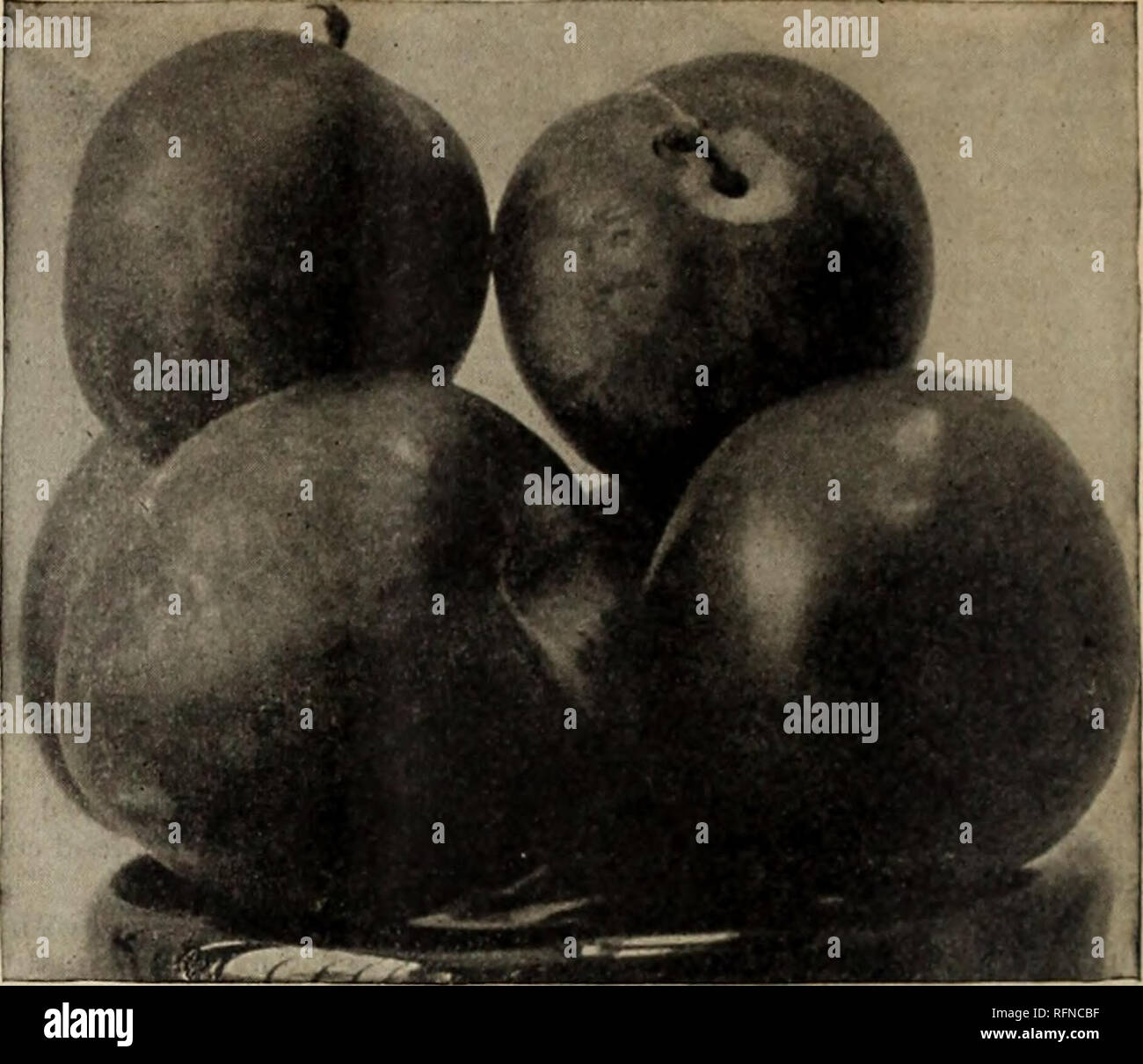 Momo japan fruit Banque de photographies et d’images à haute résolution ...