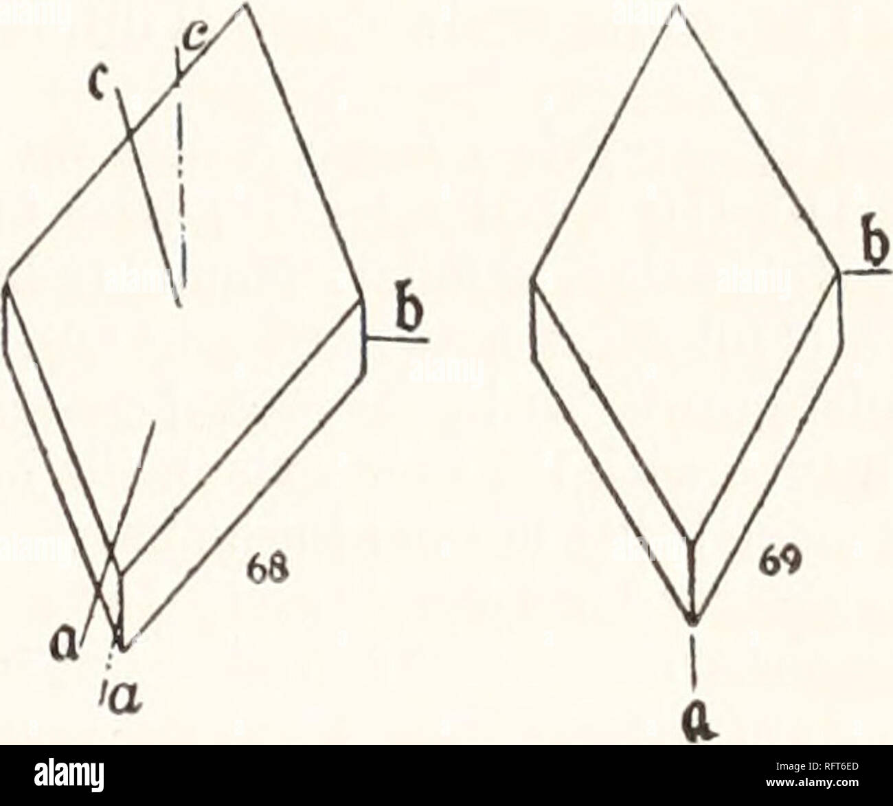 Monoxyde de cheval Banque de photographies et d’images à haute ...