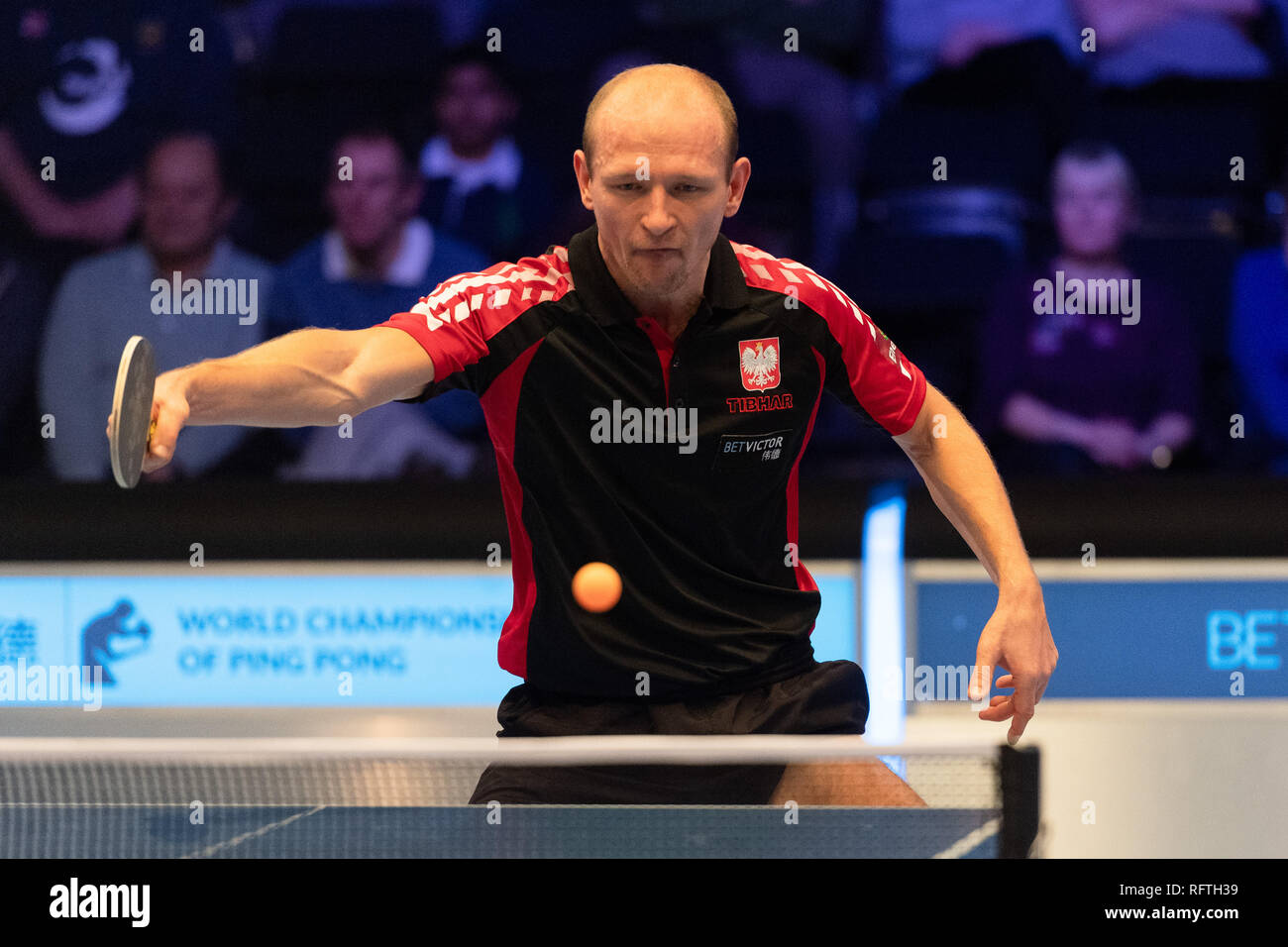 Alexander pol Banque de photographies et d’images à haute résolution ...