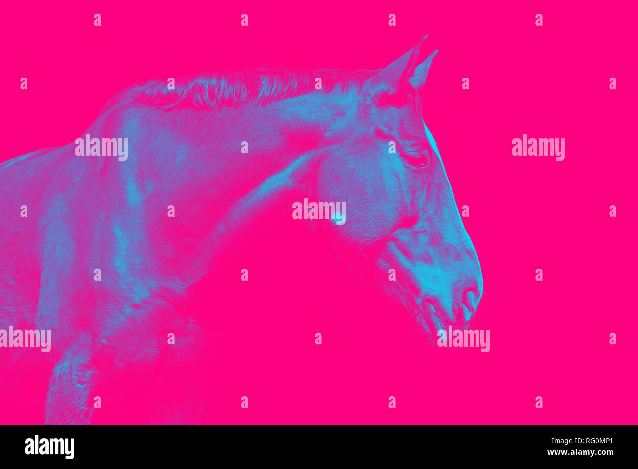 Cheval rose Banque de photographies et d’images à haute résolution - Alamy