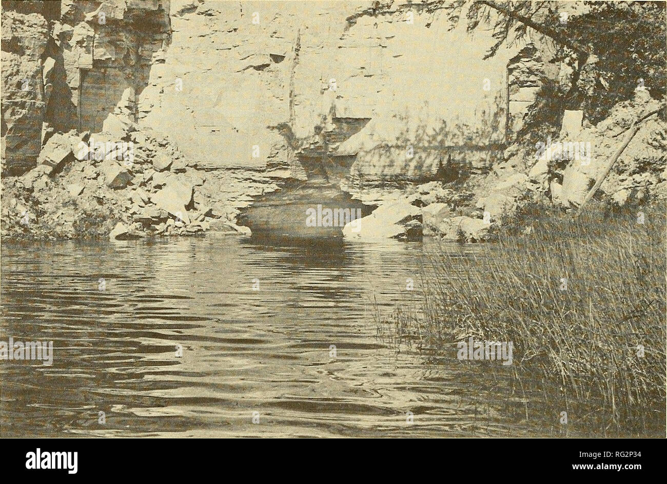 Finescale dace Banque de photographies et d’images à haute résolution ...