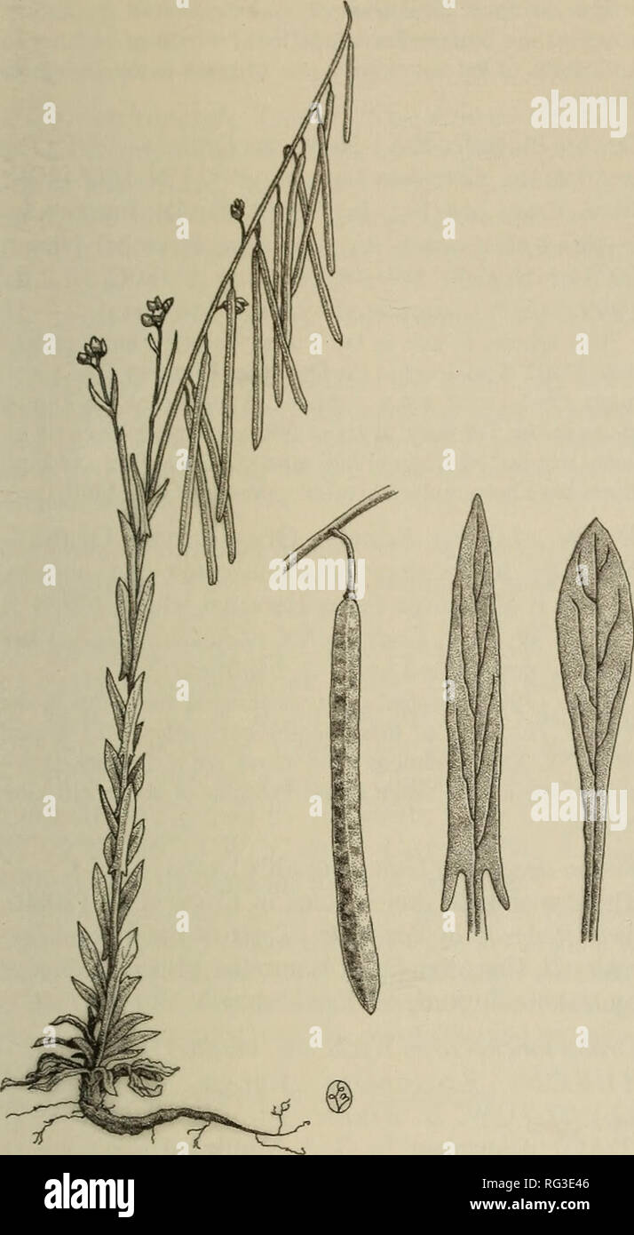 . La Canadian field-naturaliste. L'histoire naturelle. 2001 Cody ...