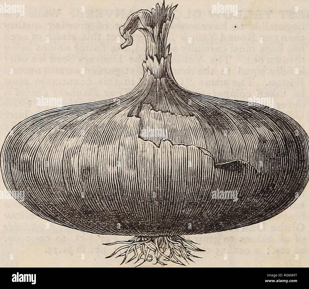 . Burpee's Farm, annuel 1887 : jardin, ferme, et des graines de fleurs ...