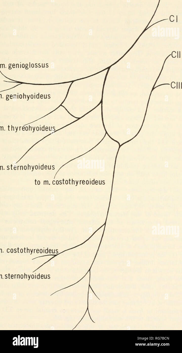 . Bulletin - United States National Museum. La science. Système ...
