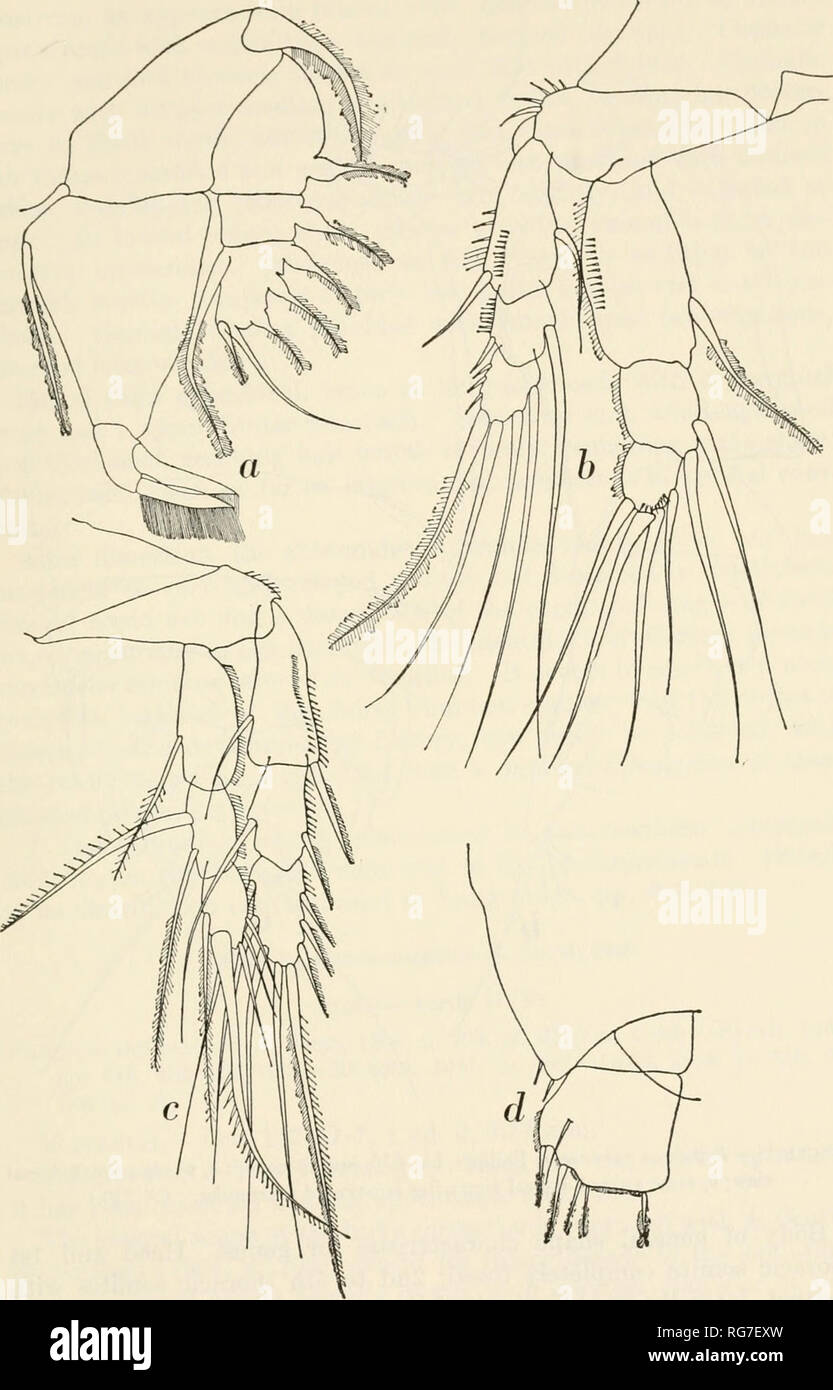. Bulletin - United States National Museum. La science. COPEPODA À ...
