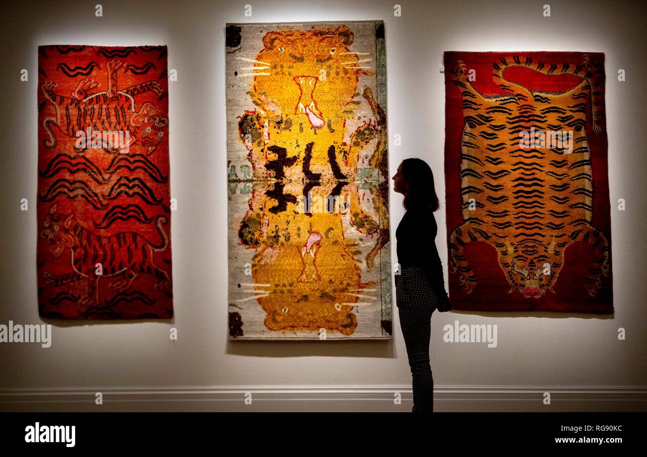 Tiger jones Banque de photographies et d’images à haute résolution - Alamy