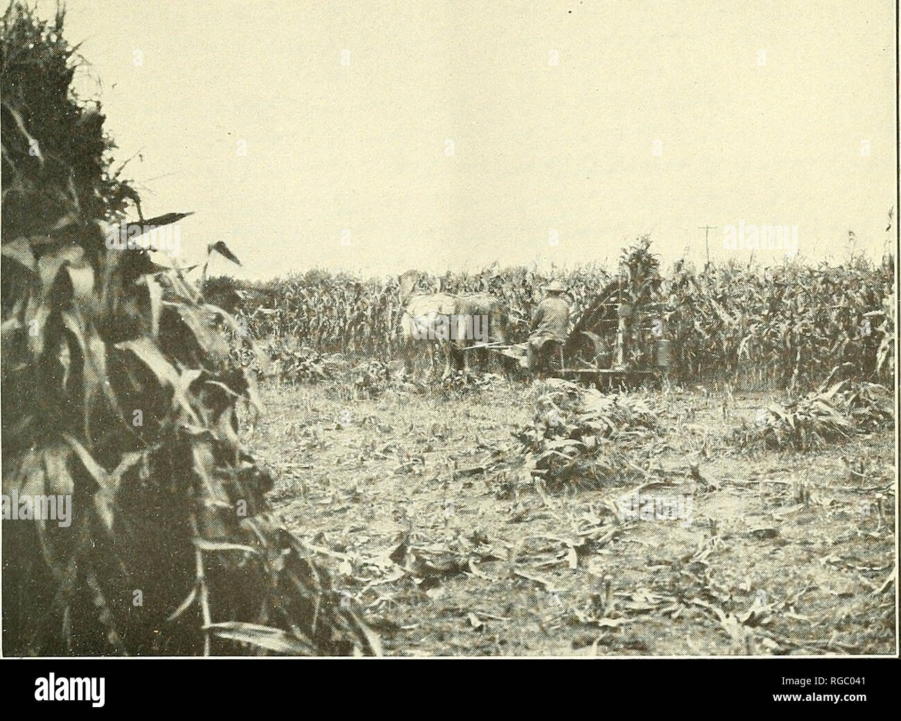 . Bulletin du Ministère de l'Agriculture des États-Unis. L'agriculture ...
