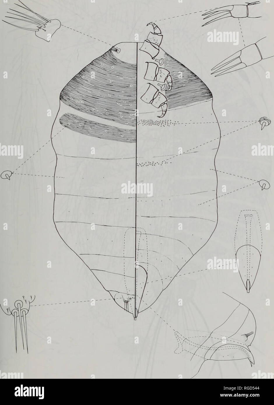 . Bulletin du Musée d'histoire naturelle de l'entomologie. Les ...