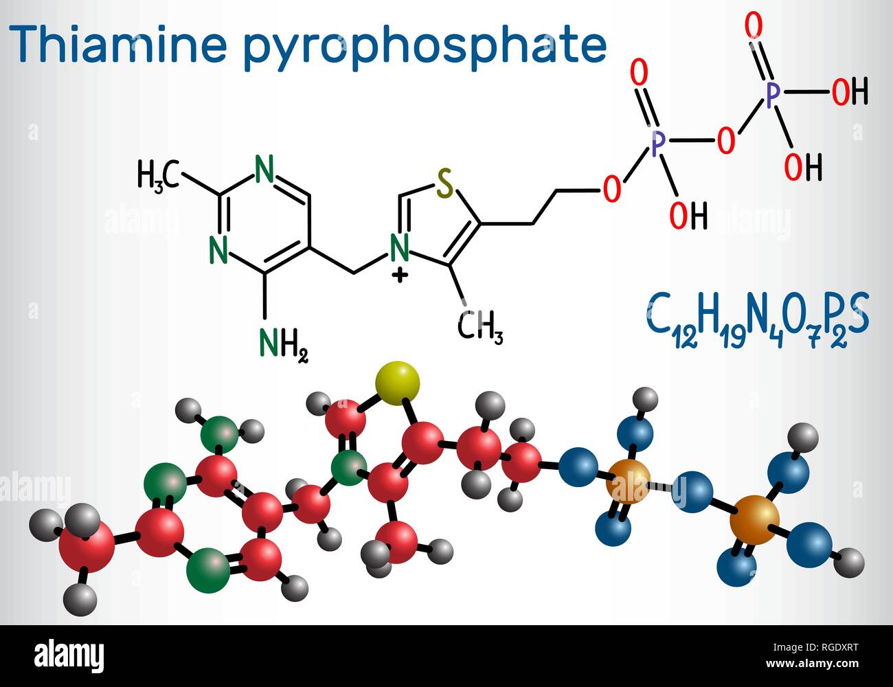 La thiamine pyrophosphate (TPP, thiamine diphosphate), est un cofacteur ...
