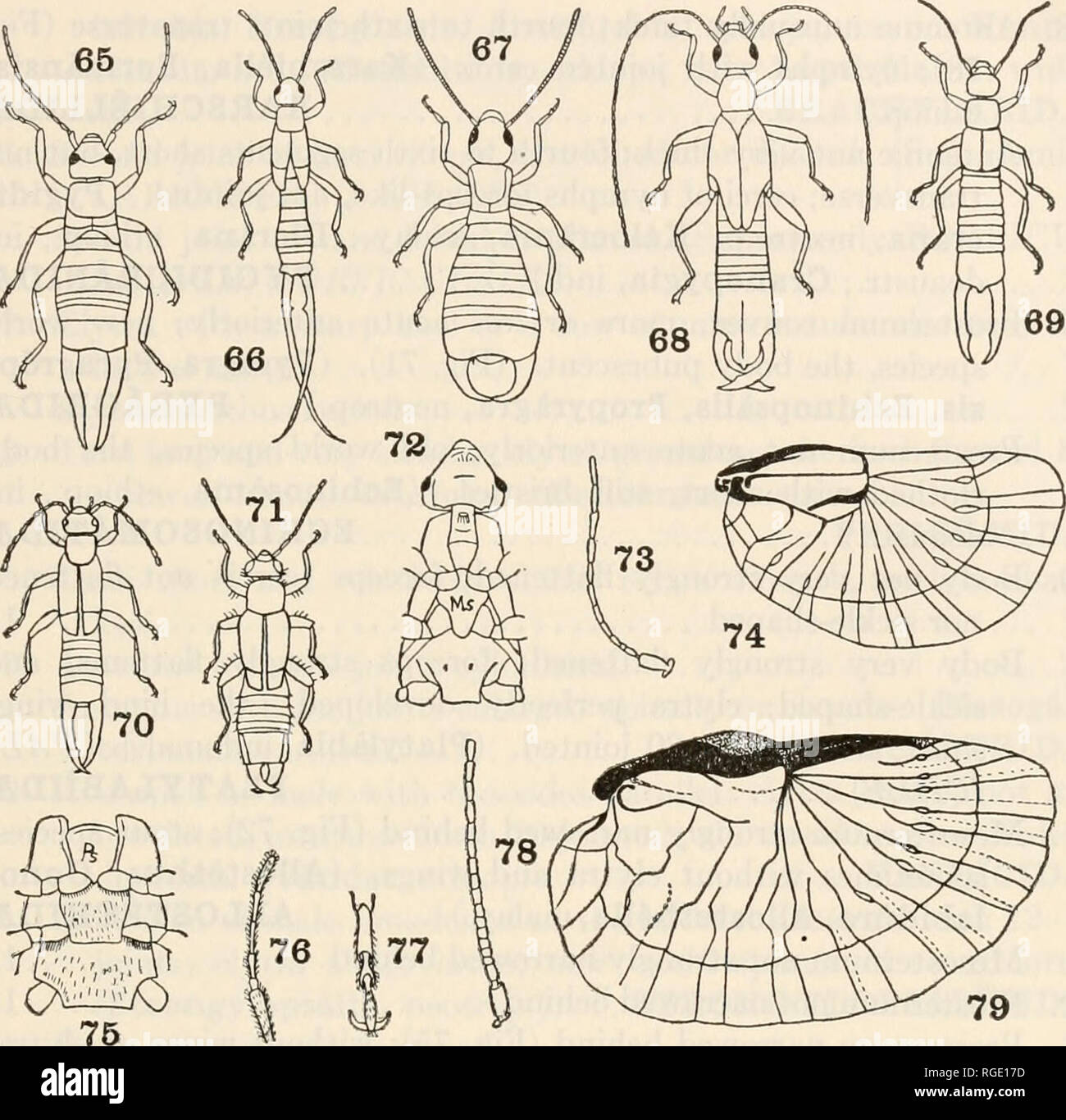 . Bulletin du Museum of Comparative Zoology de Harvard College ...