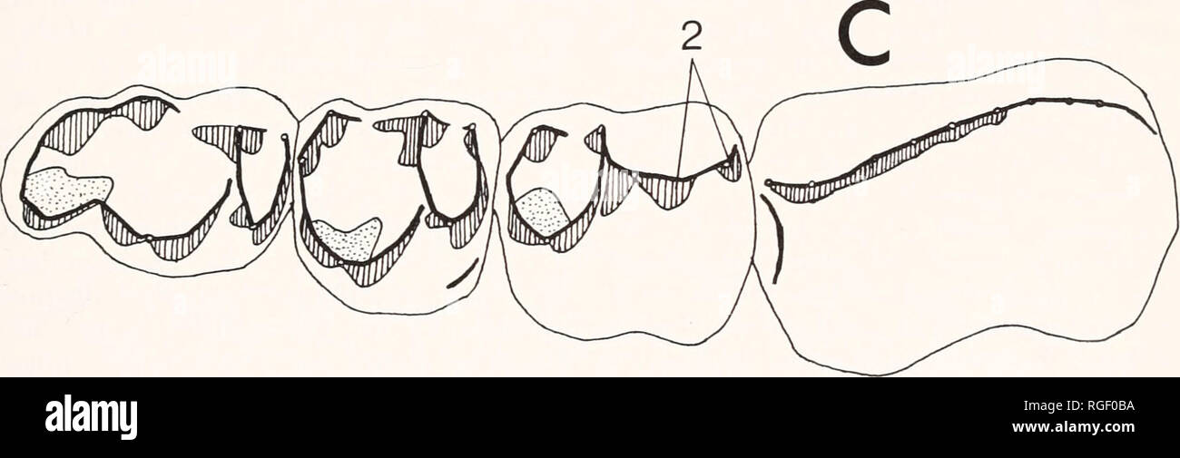 B crompton Banque de photographies et d’images à haute résolution - Alamy