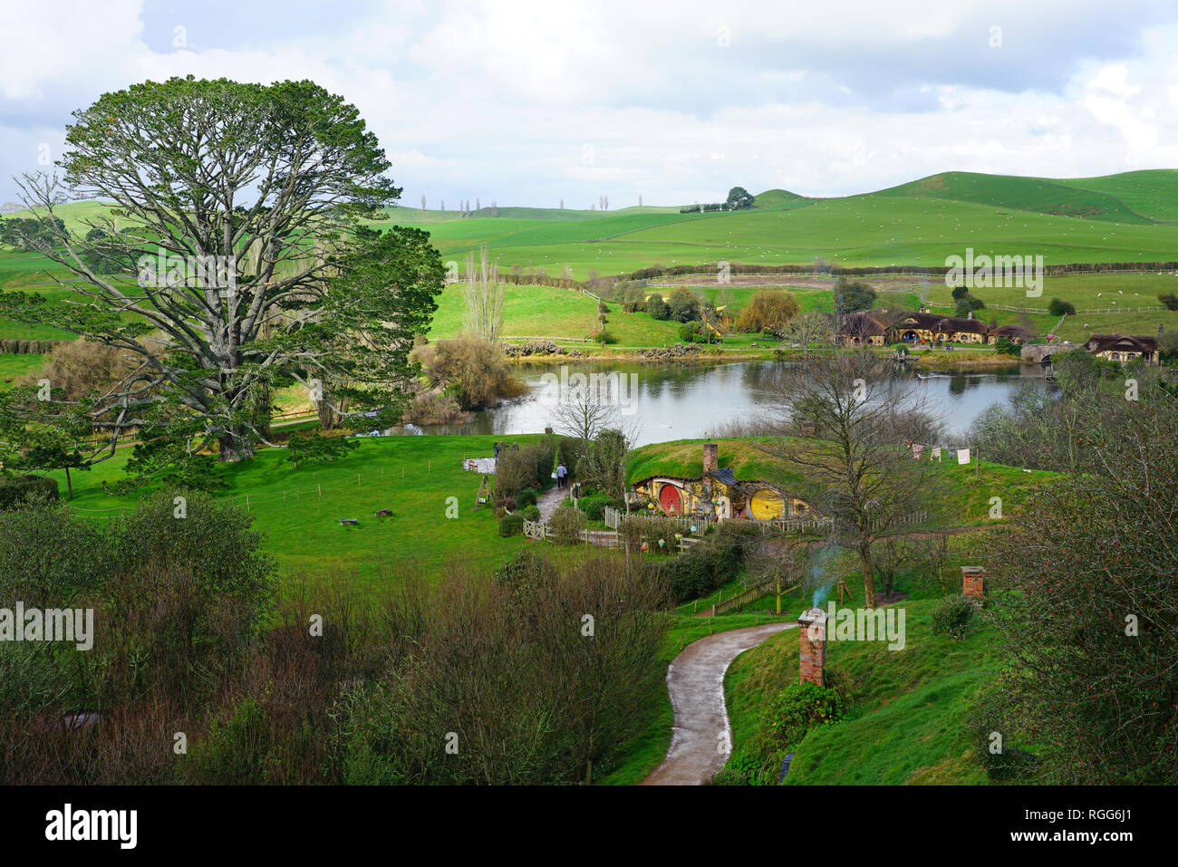 MATAMATA, Nouvelle-zélande - Vue de l'ensemble, le film Hobbiton ...