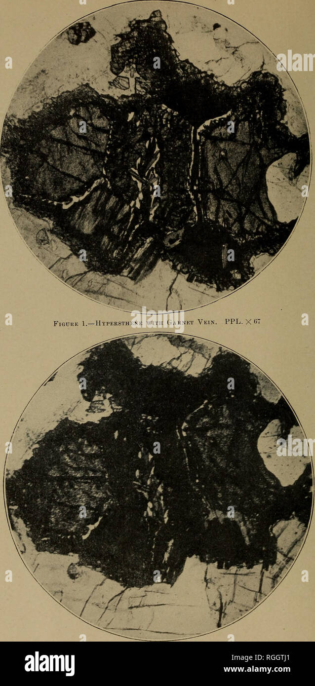 Hypersthène gabbro Banque de photographies et d’images à haute ...