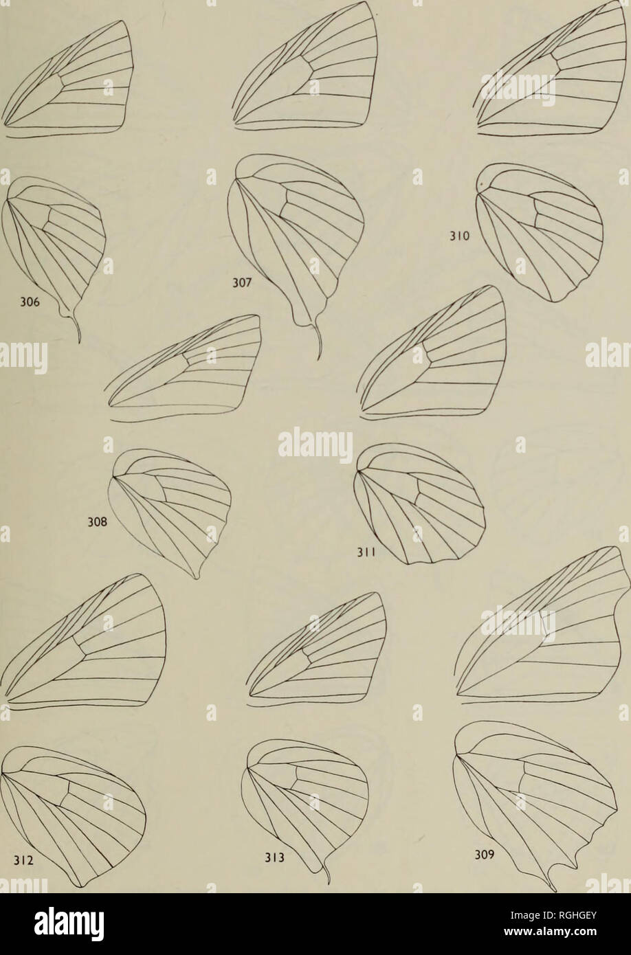 . Bulletin of the British Museum (Natural History) Entom e suppl ...