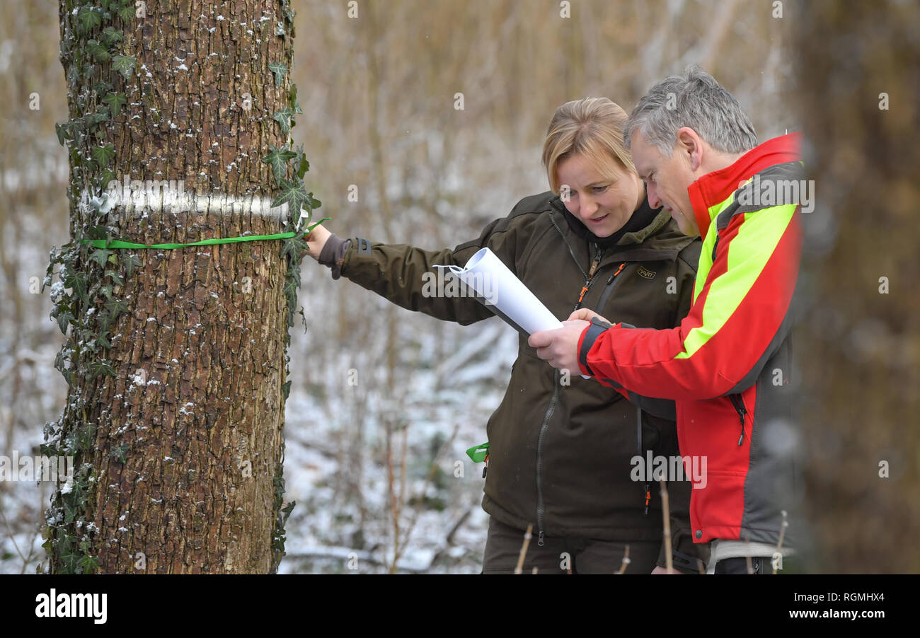 Parler de garde forestier Banque de photographies et d’images à haute ...
