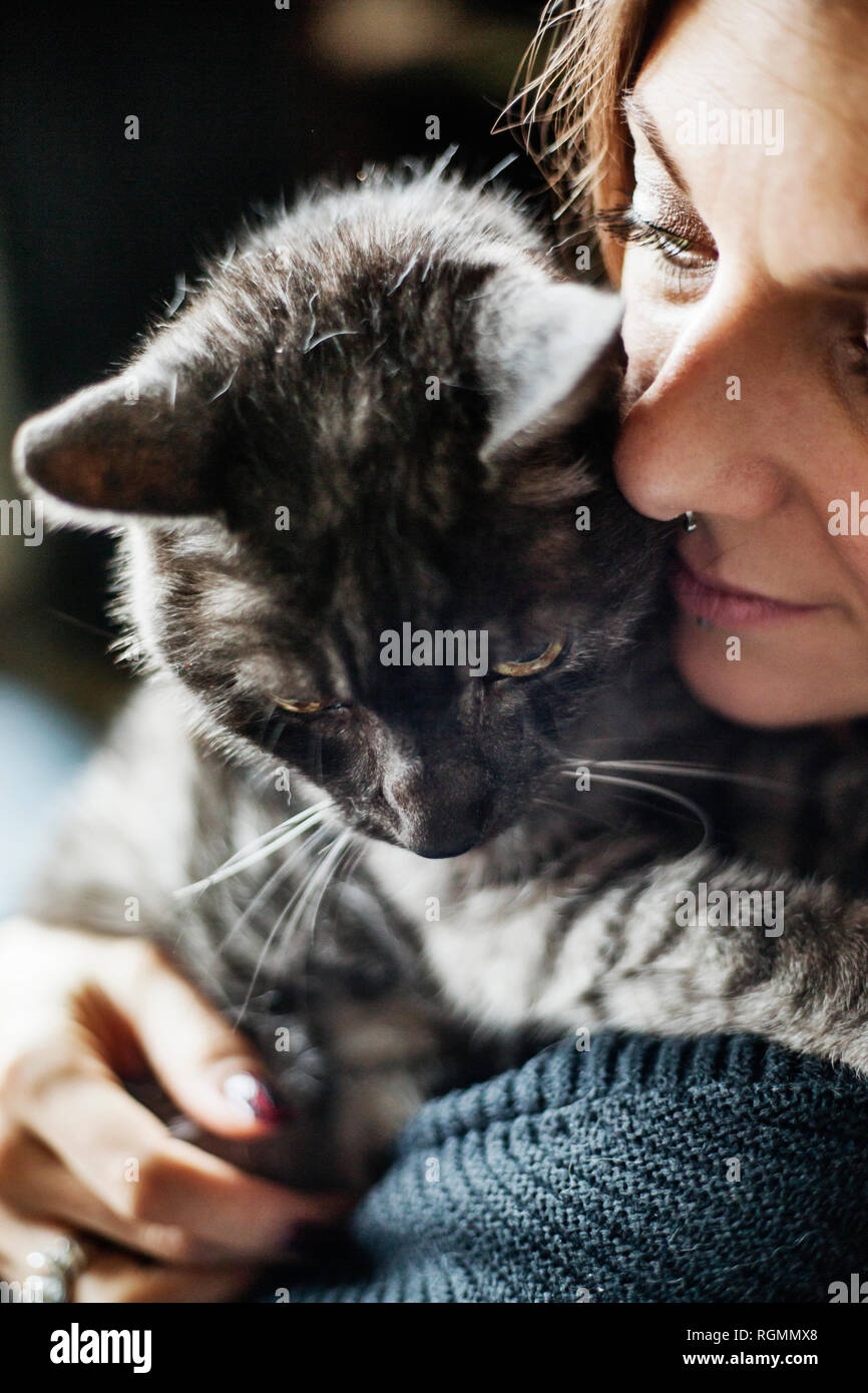 Chats gris tigré Banque de photographies et d’images à haute résolution ...