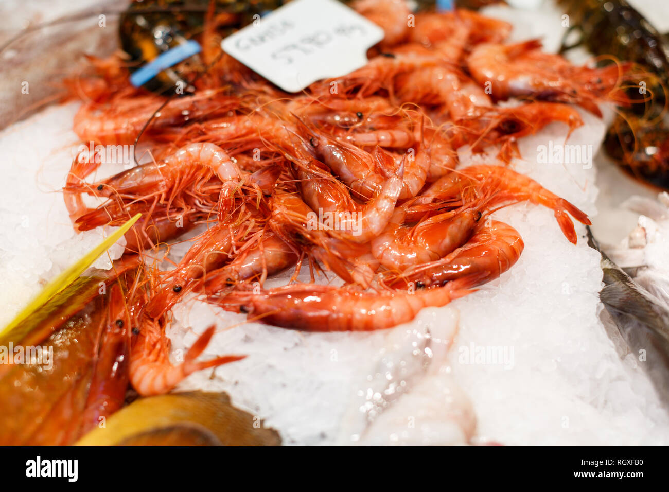 Assortiment de poissons de mer et crustacés crus sur la glace sur ...