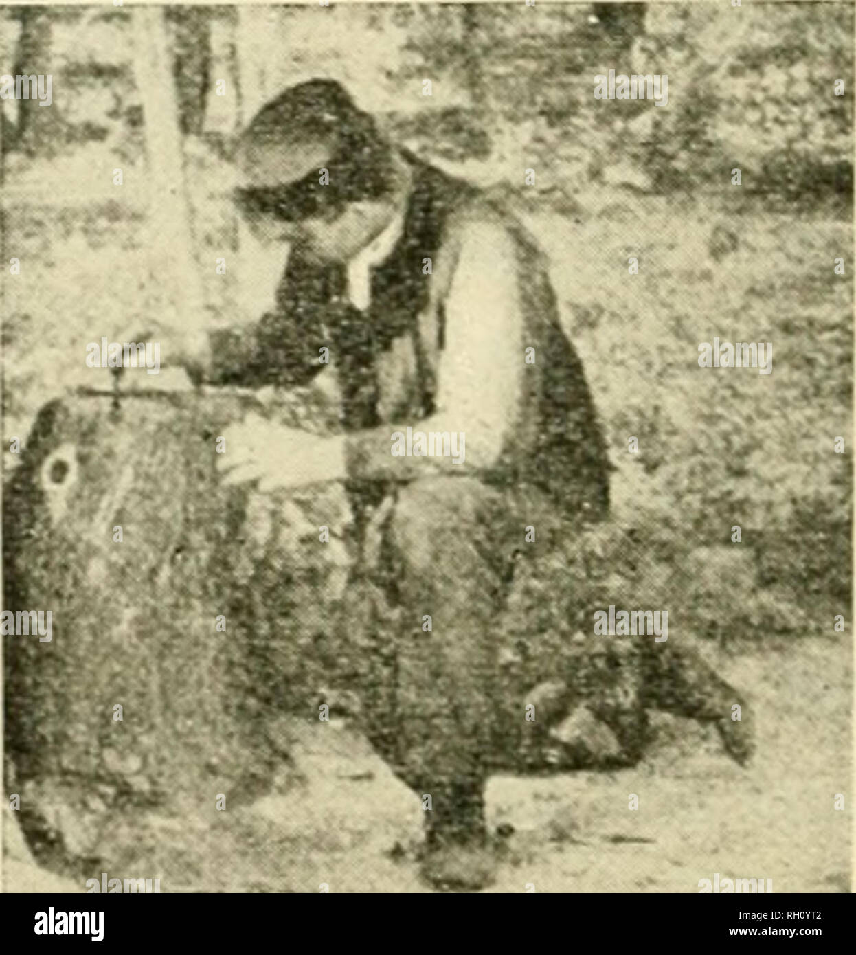 Taches brunes peau humaine Banque de photographies et d’images à haute ...