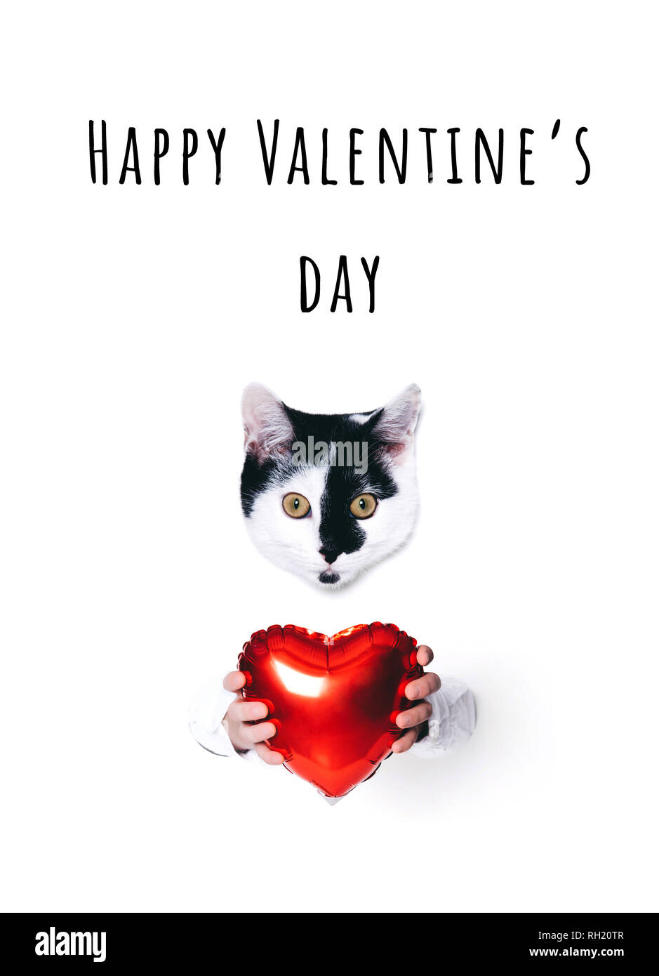 Chat avec ballon coeur Banque de photographies et d’images à haute ...