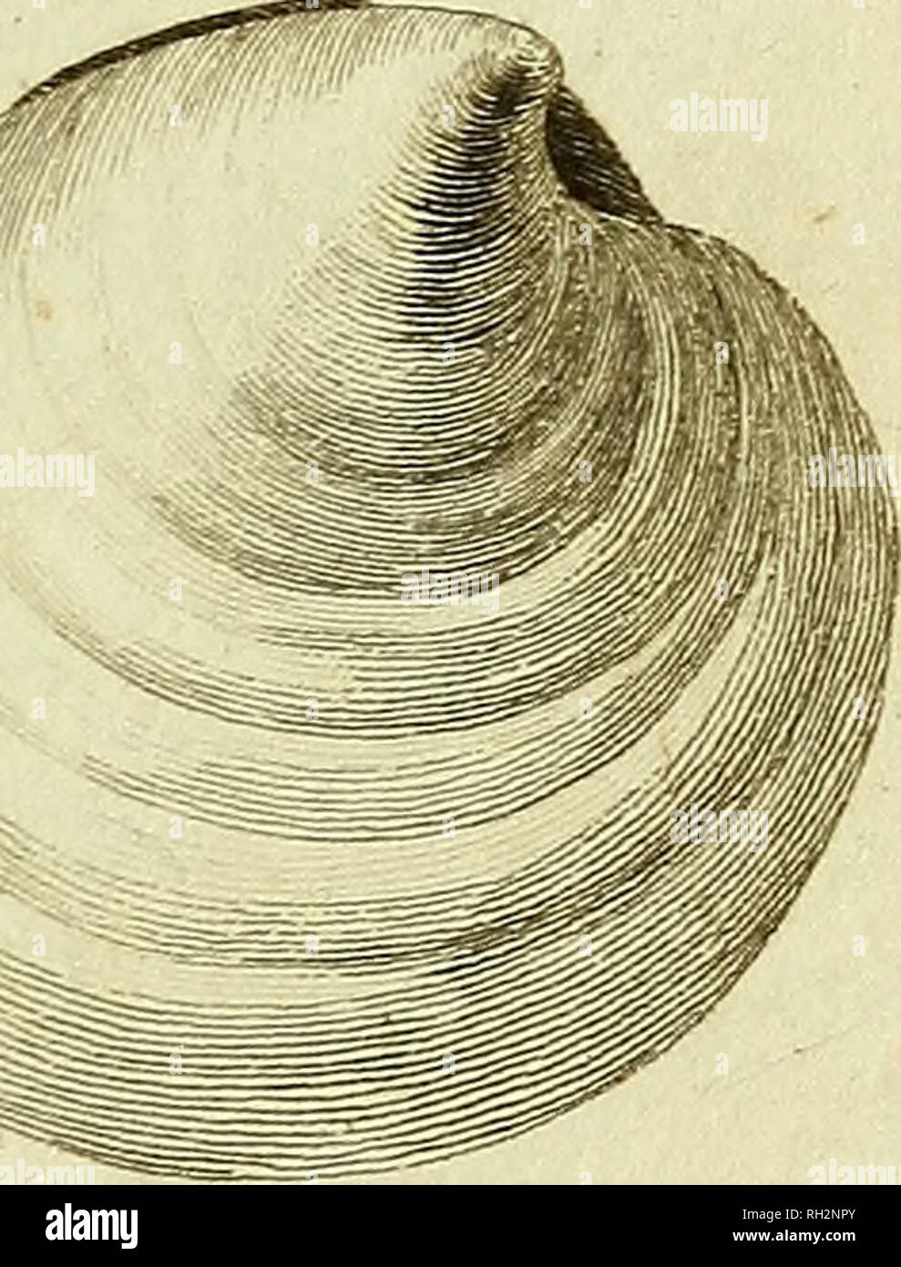 . La zoologie. Les vertébrés ; Zoologie. 19. ainsi. Veuillez noter que ...