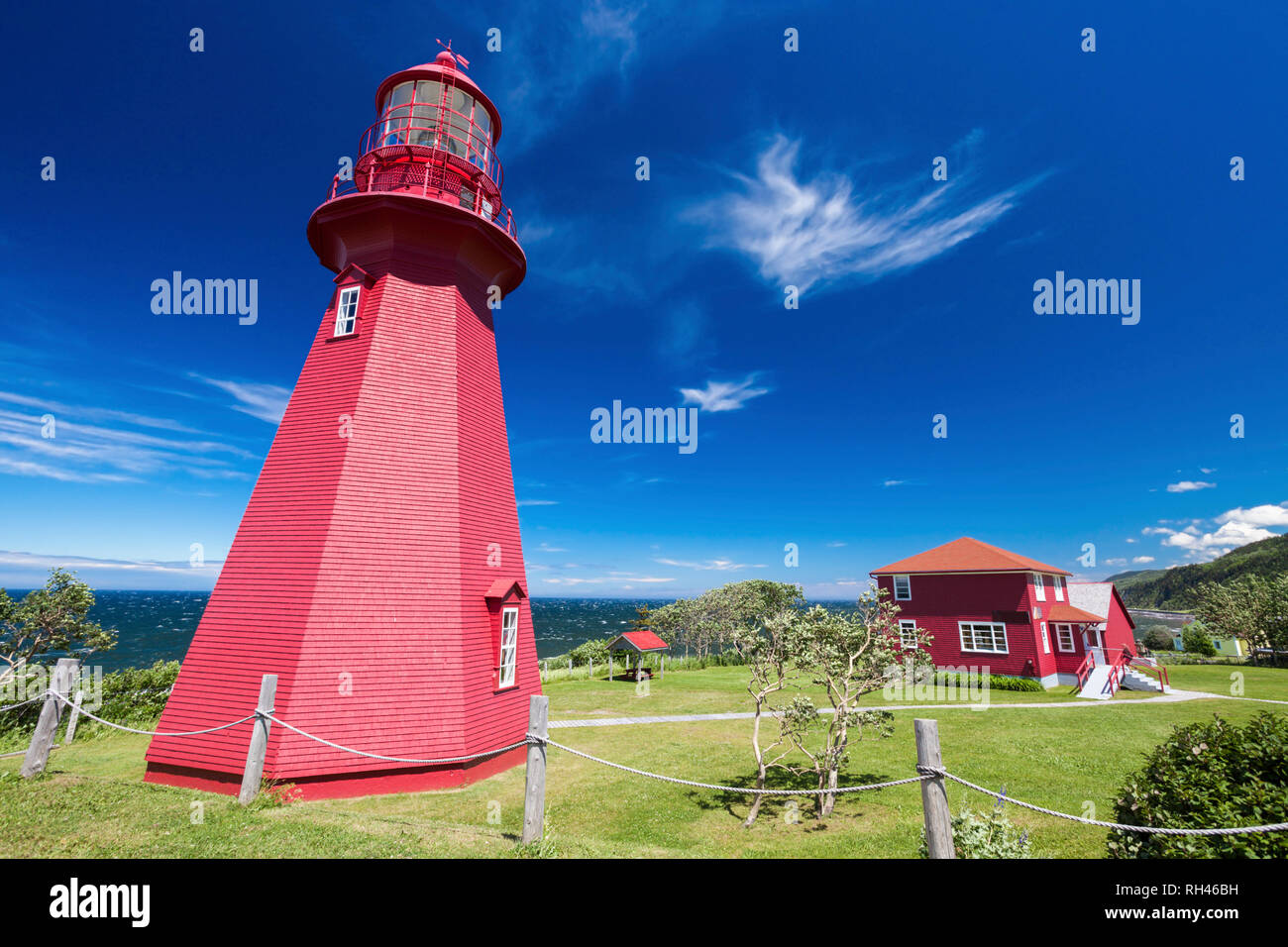 La martre Banque de photographies et d’images à haute résolution - Alamy