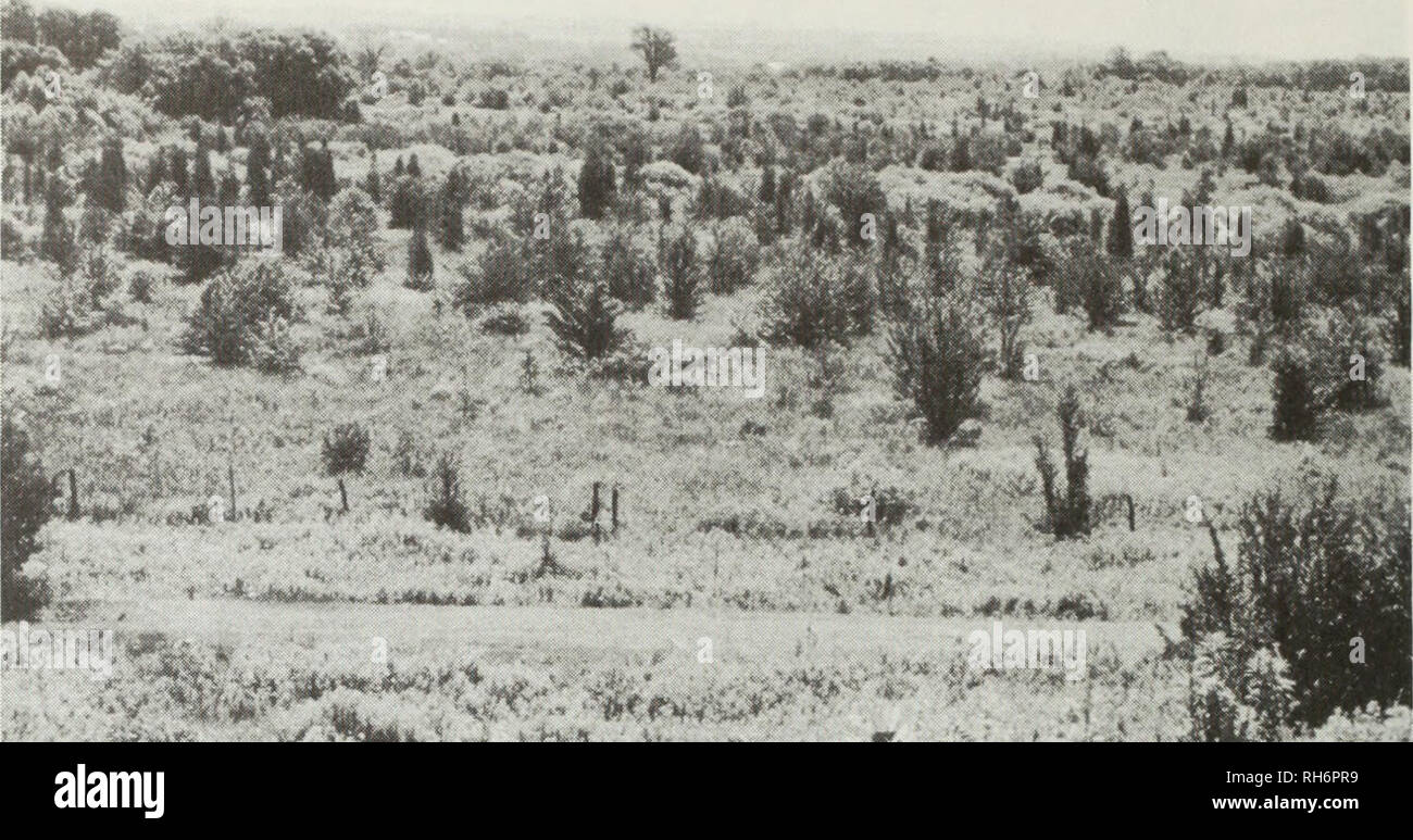 . Oiseaux nicheurs de l'Ontario : nidiology et la distribution. Les ...