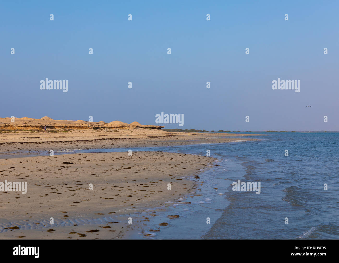 Plage en arabie saoudite Banque de photographies et d’images à haute ...