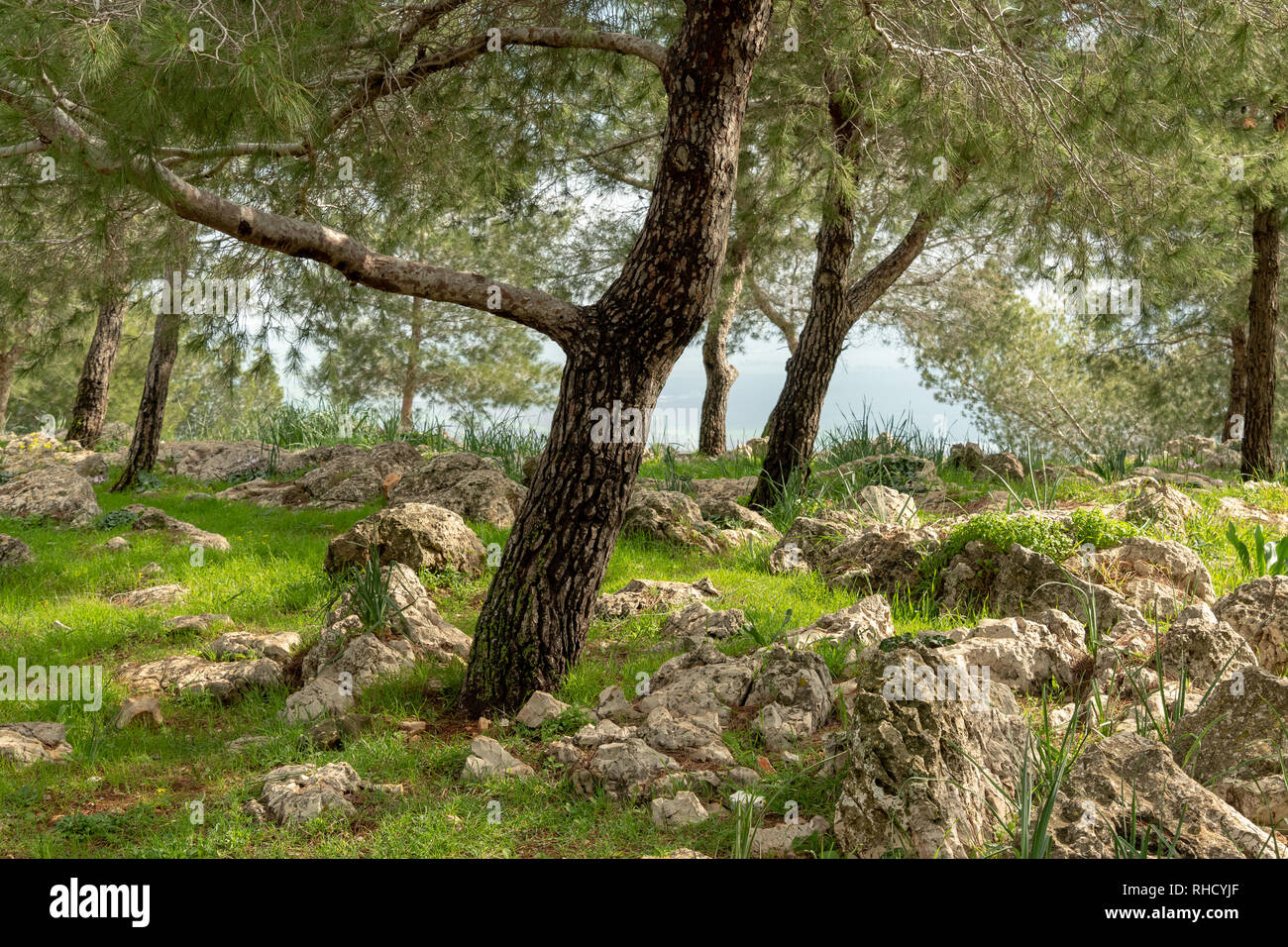 Mount precipice mount precipitation Banque de photographies et d’images ...