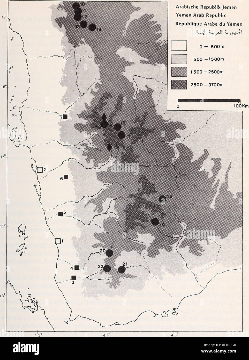 Pristurus rupestris Banque de photographies et d’images à haute ...