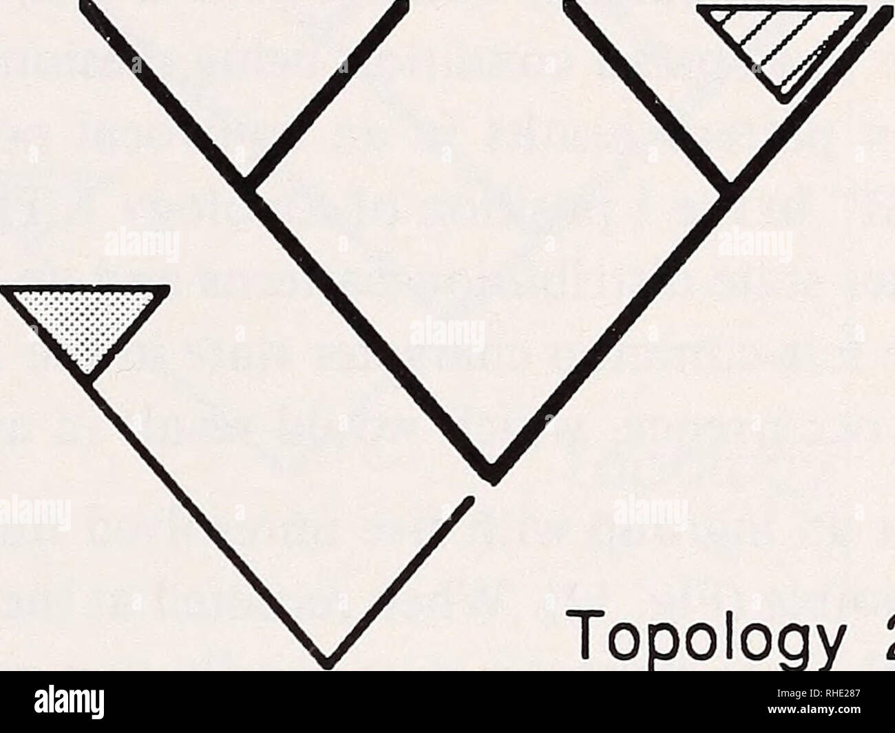 Les topologies Banque de photographies et d’images à haute résolution ...