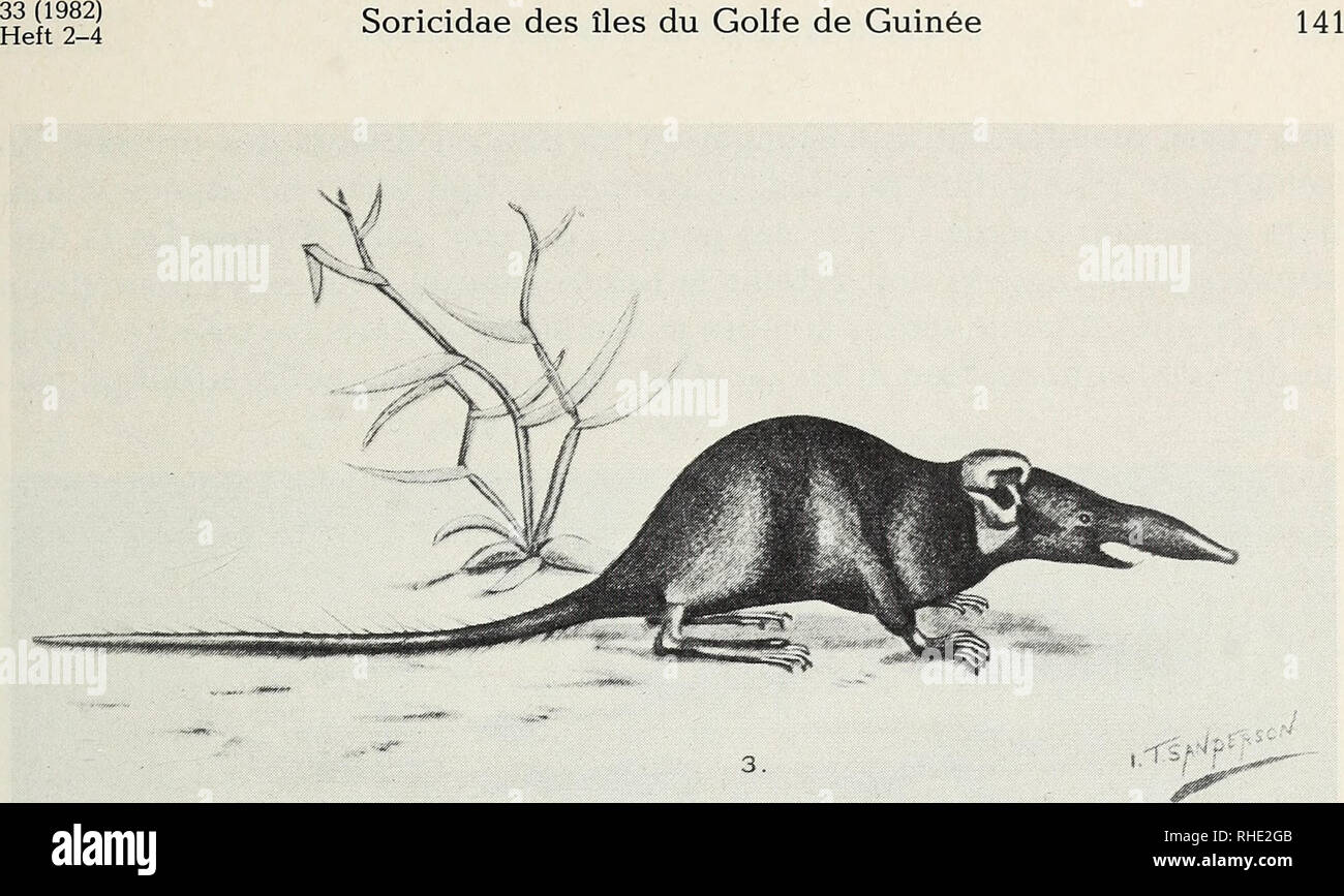 La distraite Banque de photographies et d’images à haute résolution - Alamy