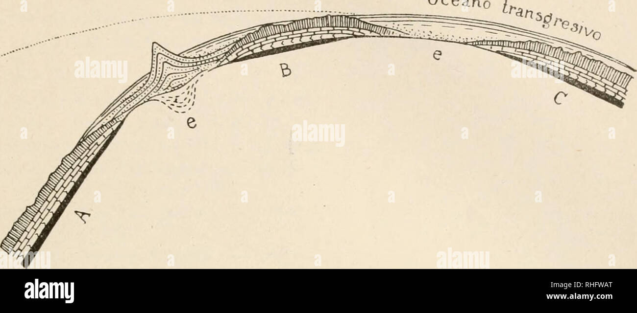 . Boletín de la Sociedad Española de Historia Natural. L'histoire ...