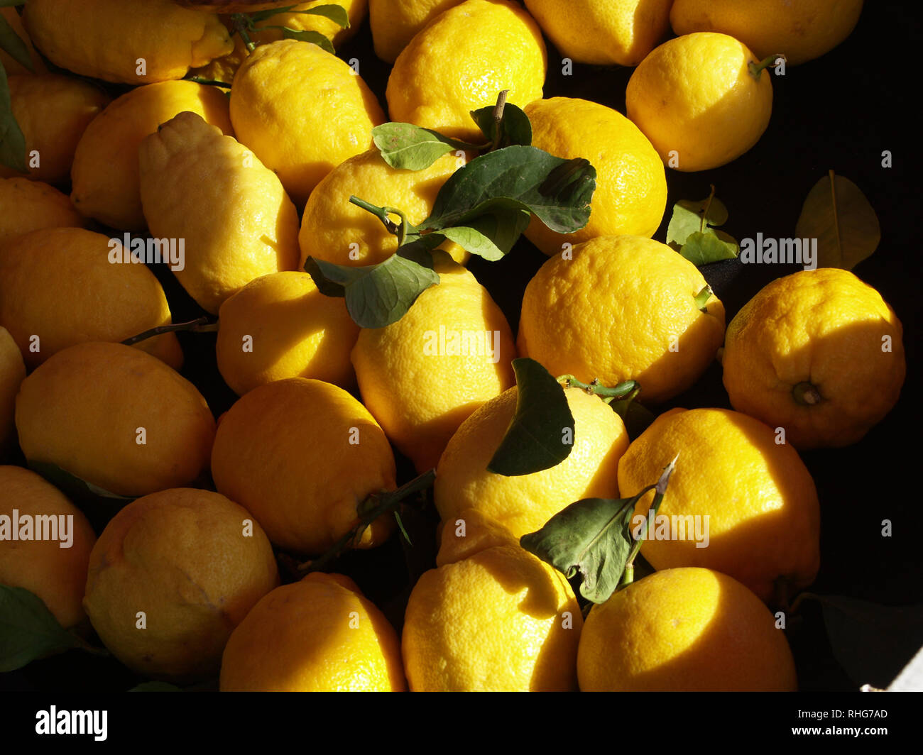 Gros citrons Banque de photographies et d’images à haute résolution - Alamy