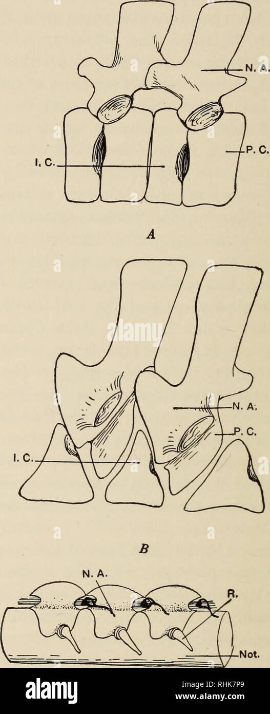 Tipos de fusibles Banque de photographies et d’images à haute ...