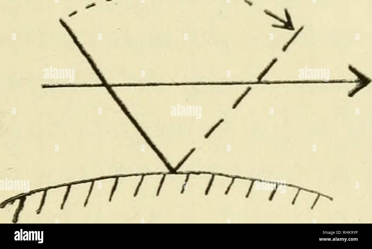 . La biologie des cils et flagelles. Cils et flagelles ; mouvement ...