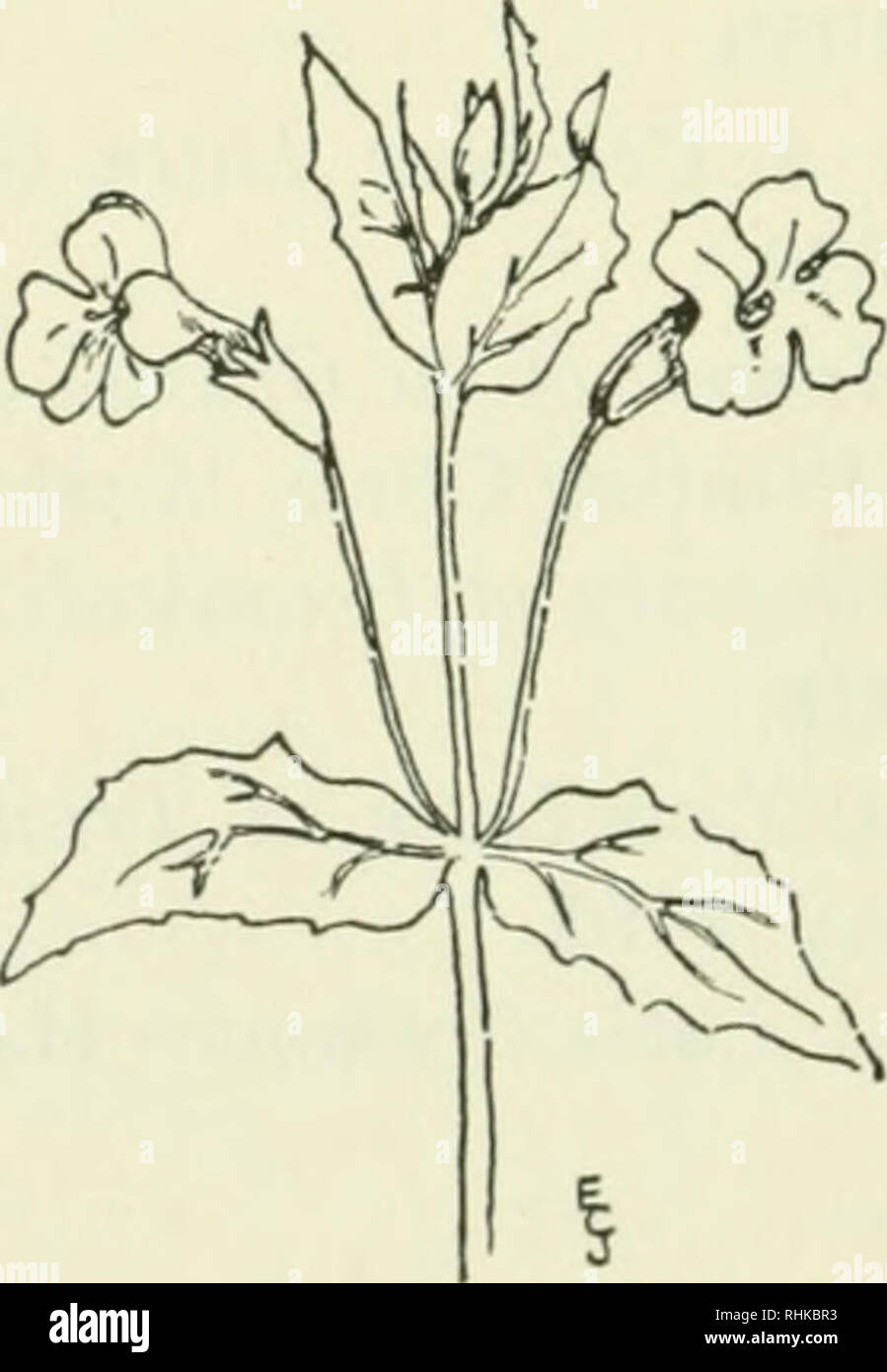 Philip munz Banque de photographies et d’images à haute résolution - Alamy