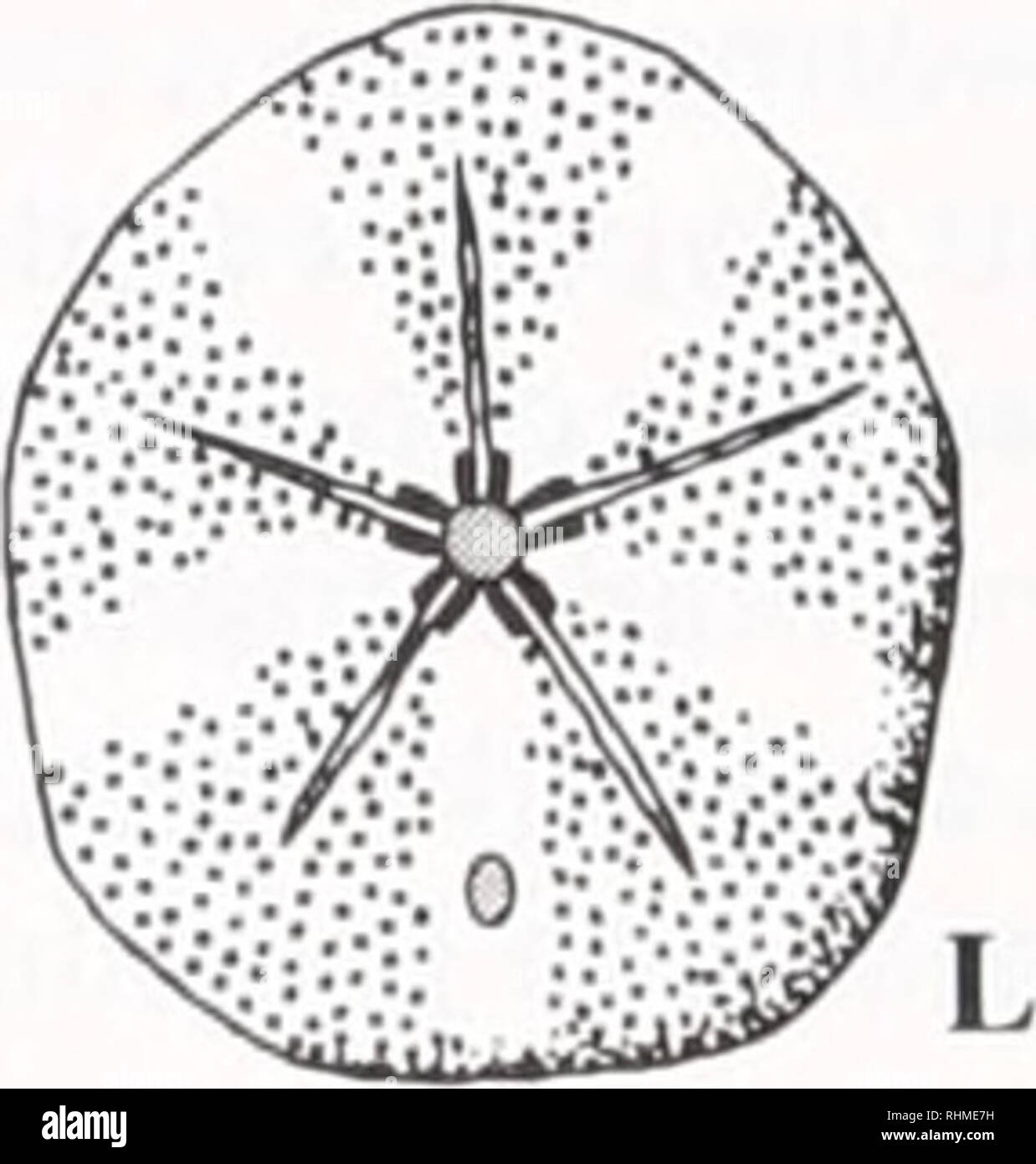 . Le bulletin biologique. Biologie ; zoologie ; biologie ; biologie ...