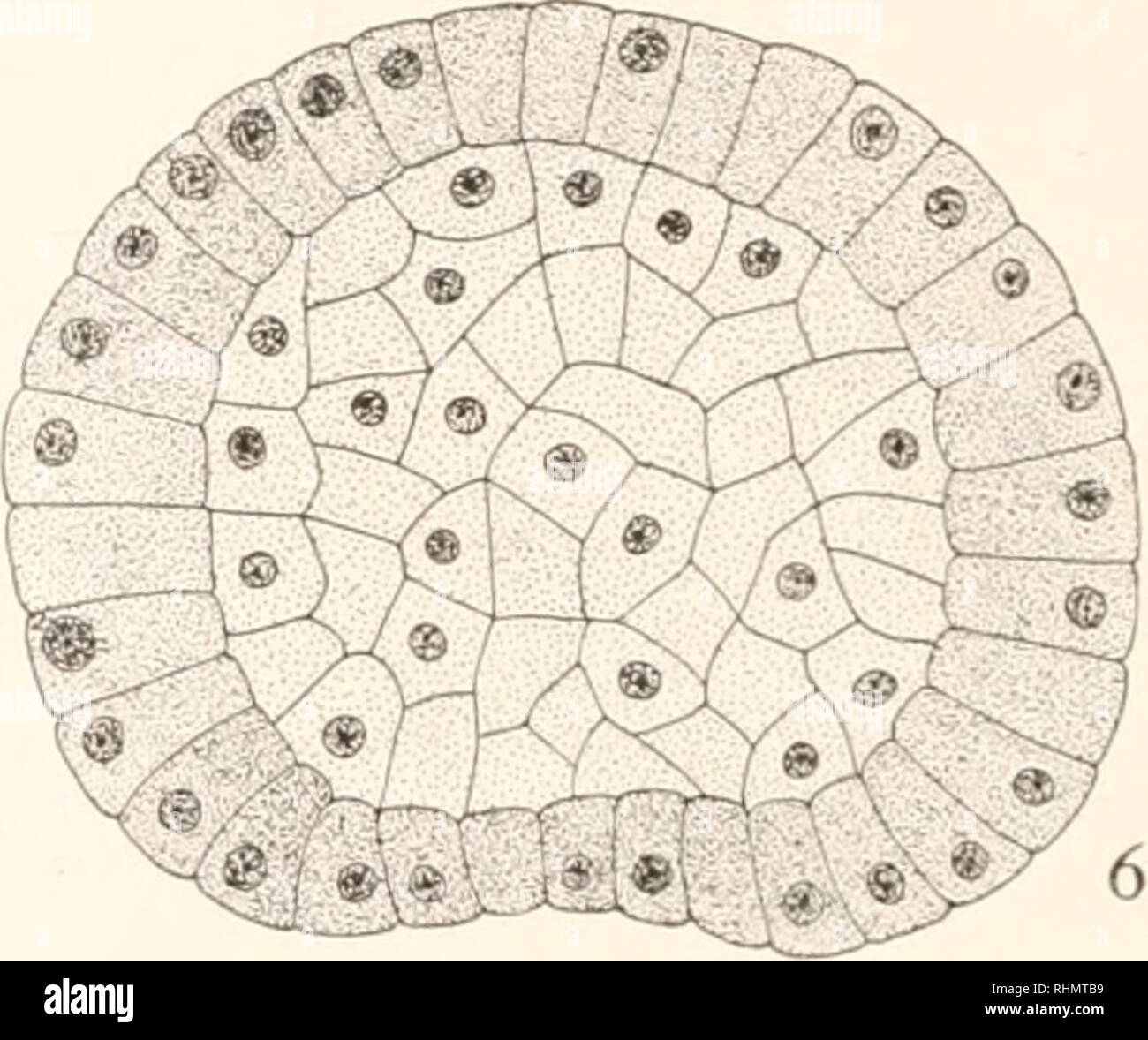 Méthode de clivage Banque de photographies et d’images à haute ...