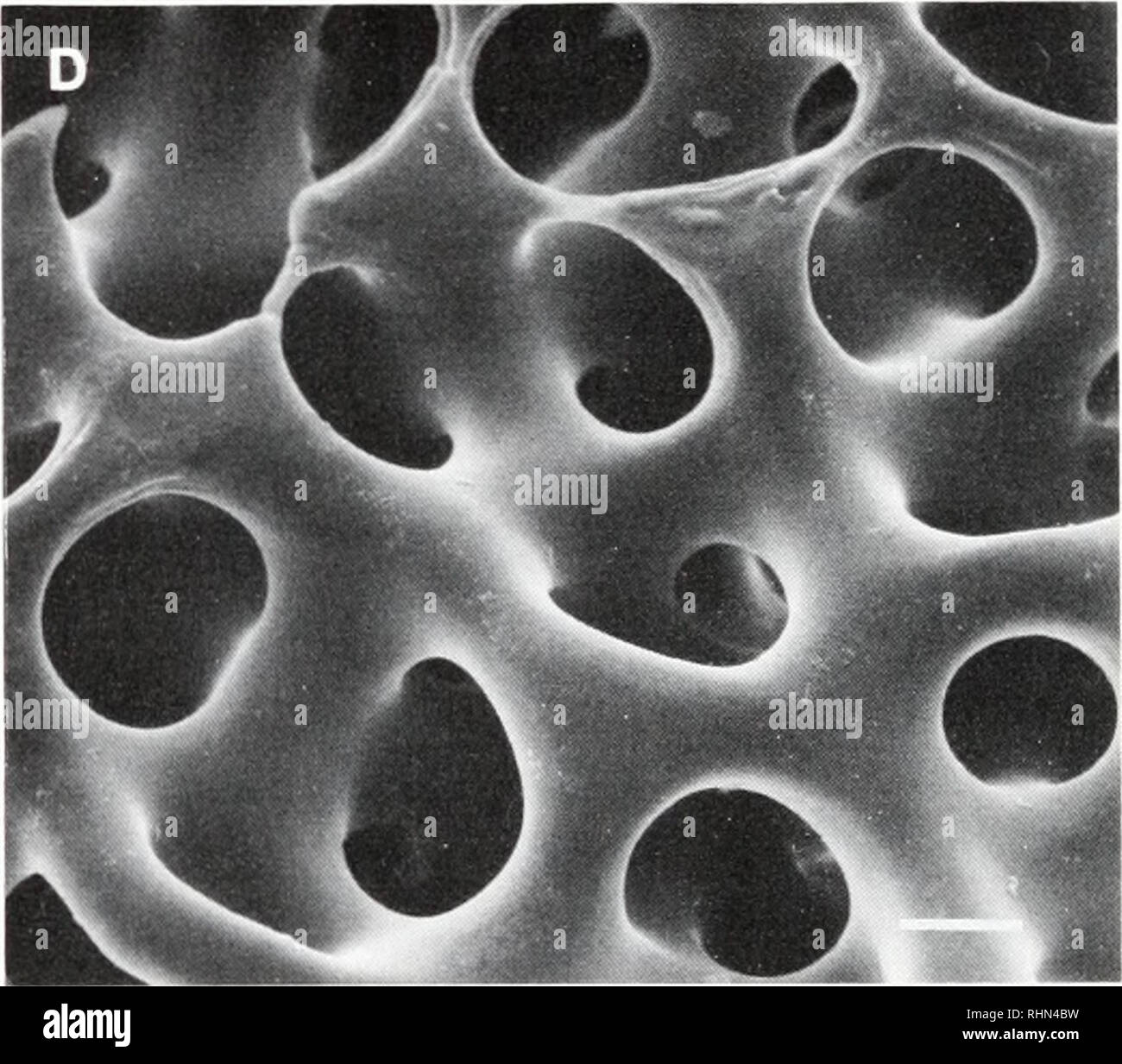 . Le bulletin biologique. Biologie ; zoologie ; biologie ; biologie ...