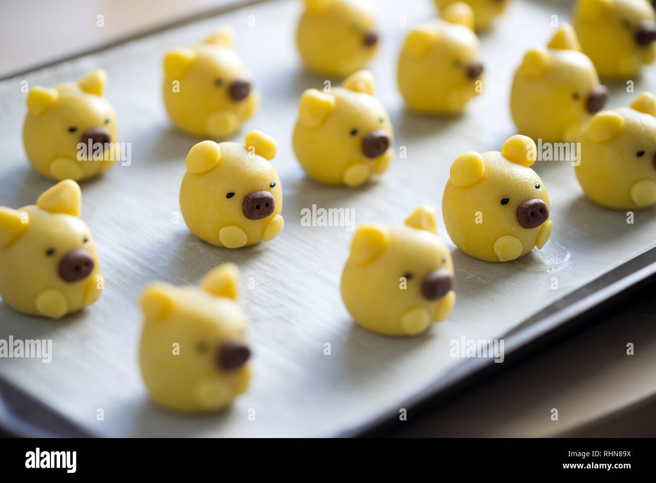 Cochon jaune Banque de photographies et d’images à haute résolution - Alamy
