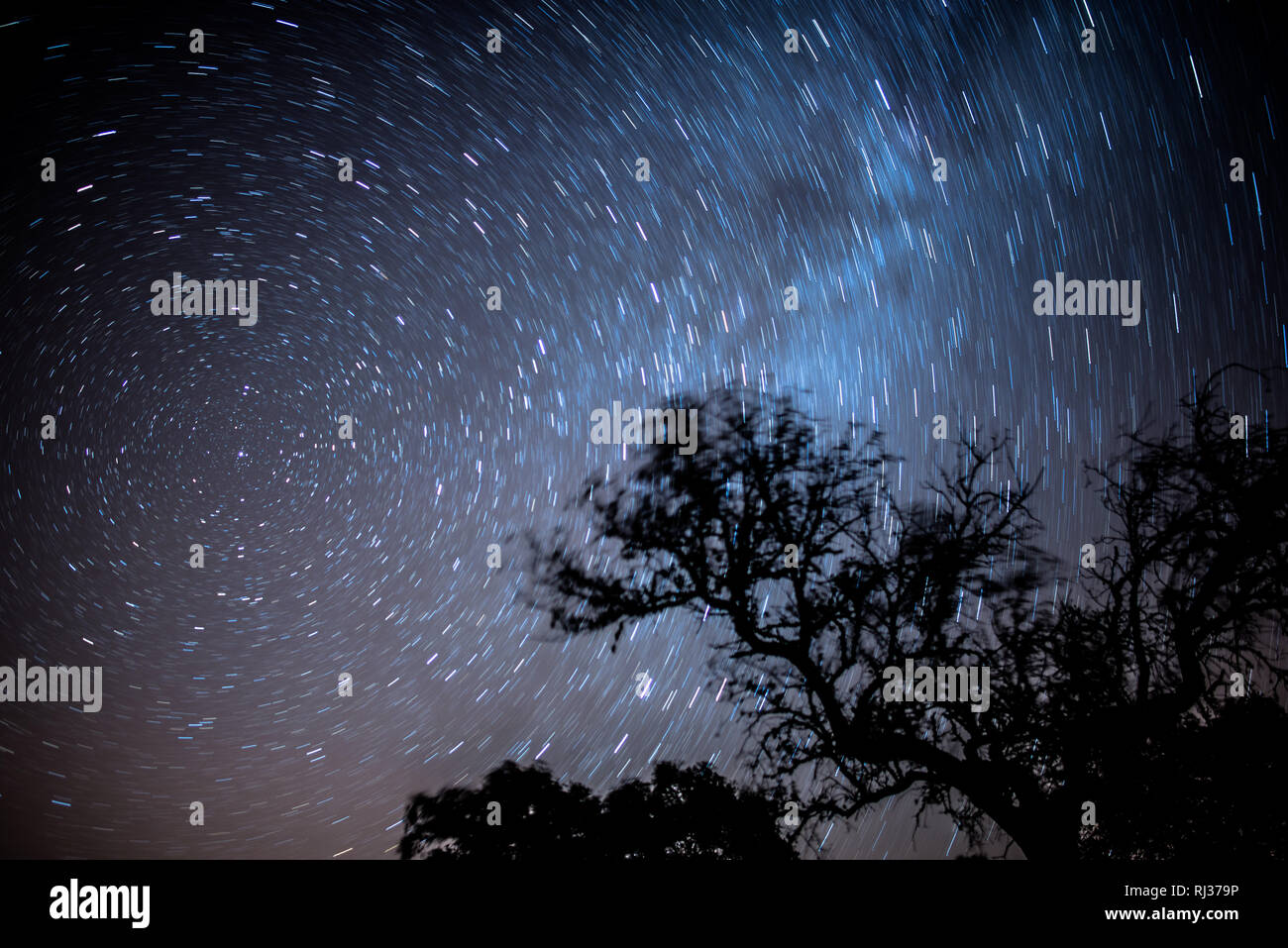 Polar star Banque de photographies et d’images à haute résolution - Alamy