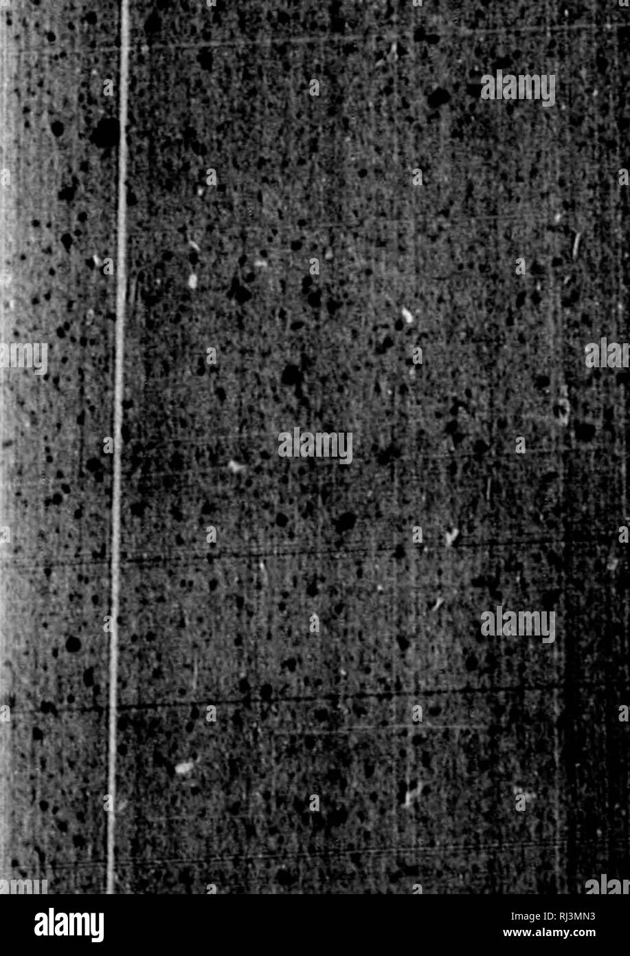 Col wr rep Banque de photographies et d’images à haute résolution - Alamy