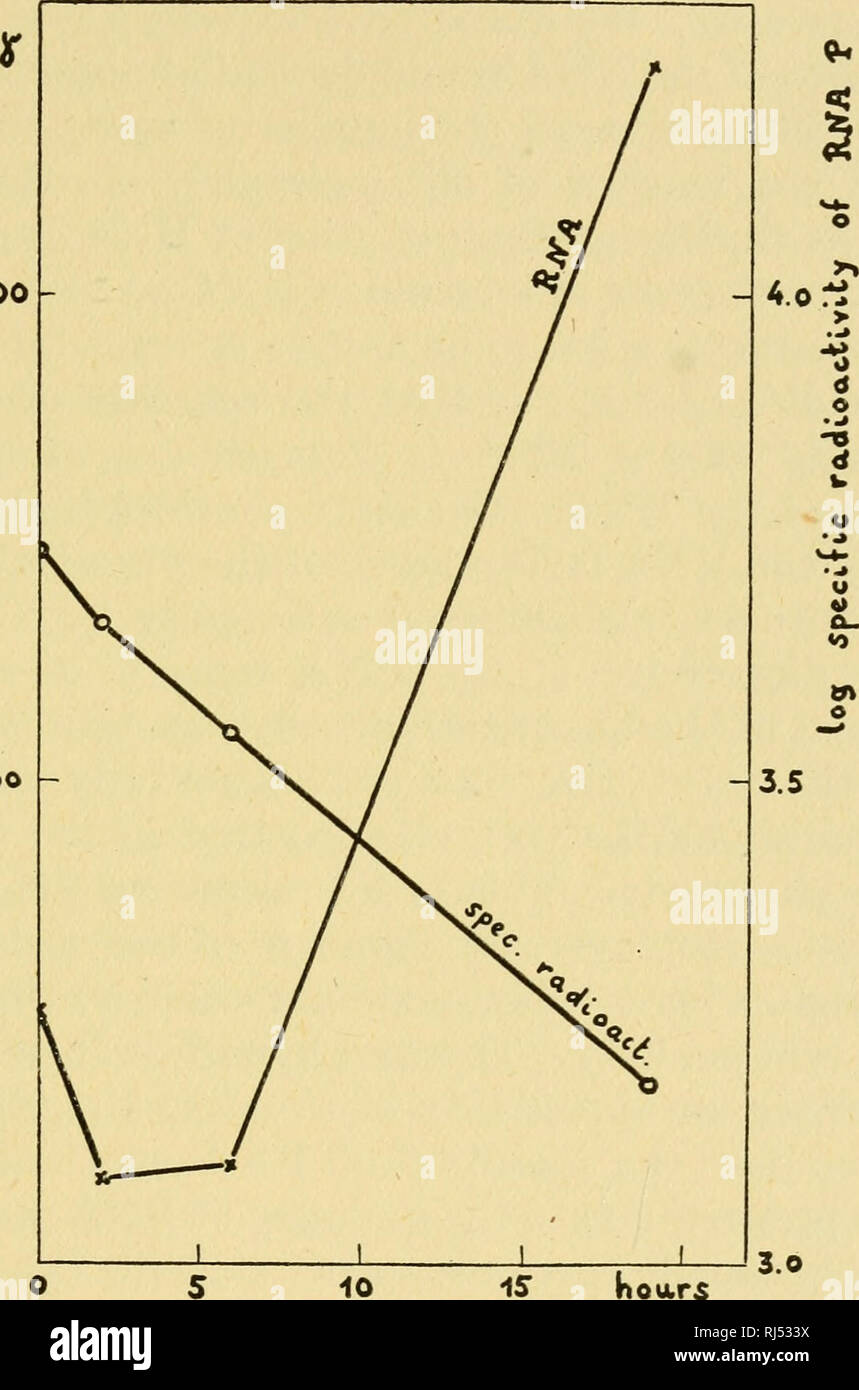 Radioactivity suit Banque de photographies et d’images à haute résolution - Alamy